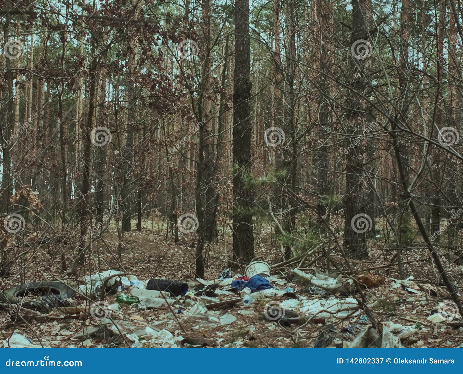 Household Waste, Plastic Waste in the Pine Forest Stock Image - Image ...