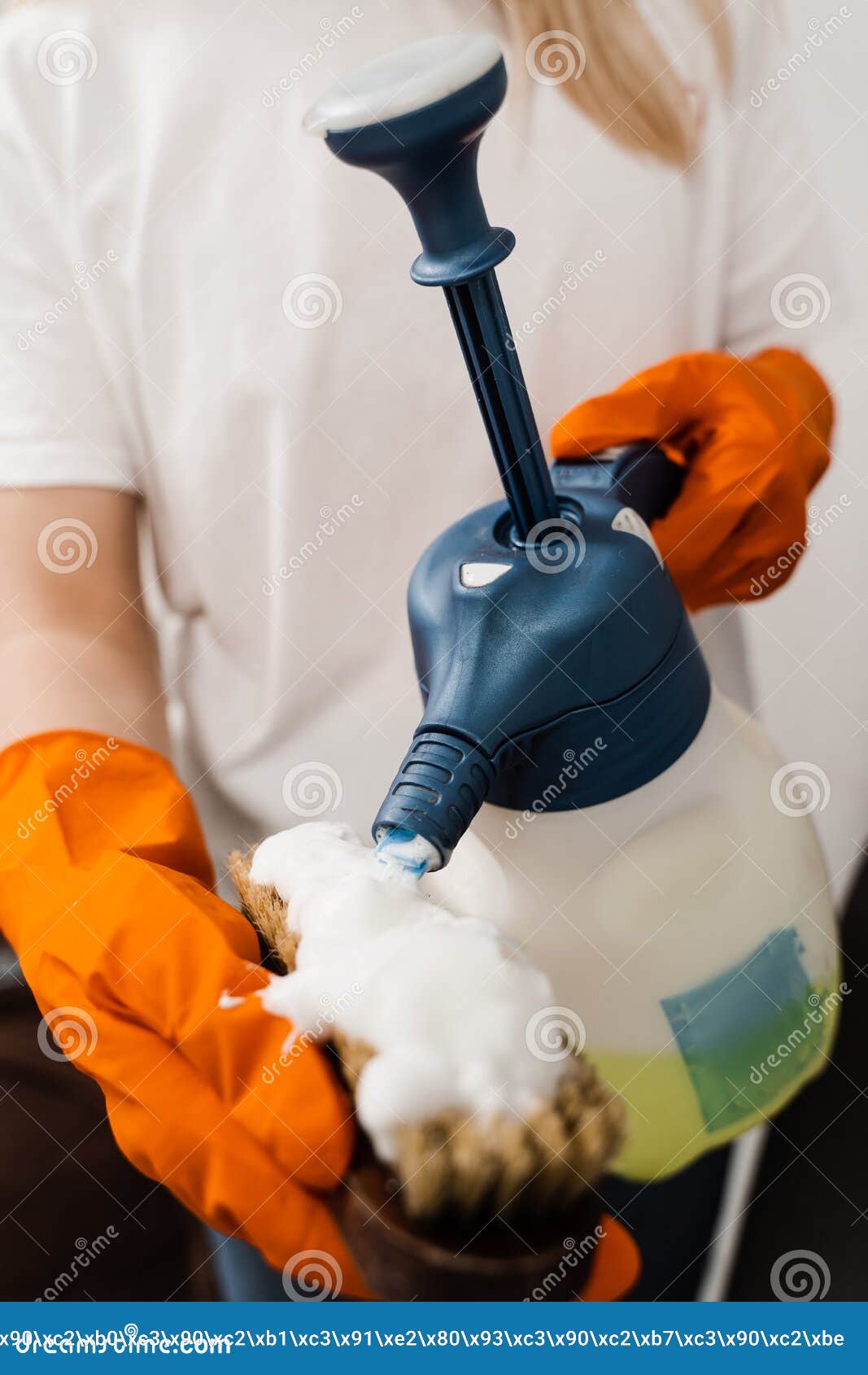 Housekeeper is Pouring Detergent on Brush for Dry Cleaning Using ...