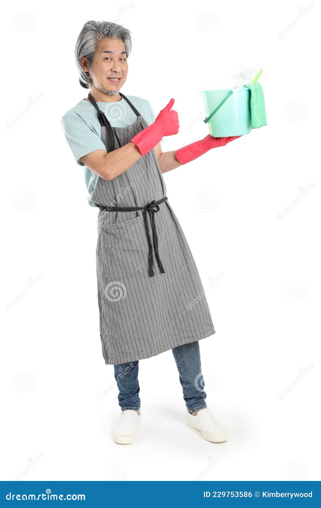 Housekeeper stock photo. Image of housekeeper, isolated - 229753586