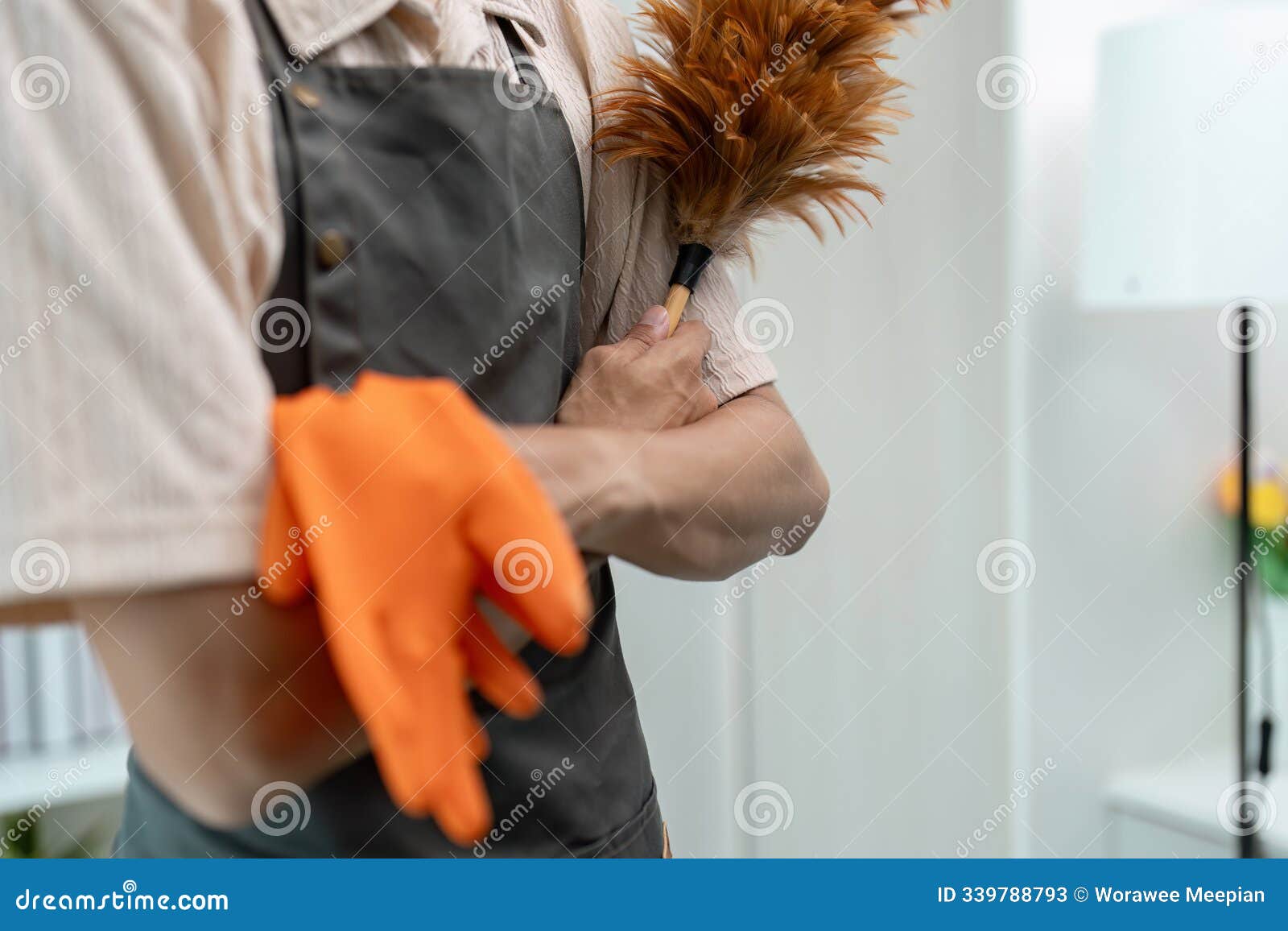 Professional Housekeeper with Cleaning Tools in Modern Home Setting for ...