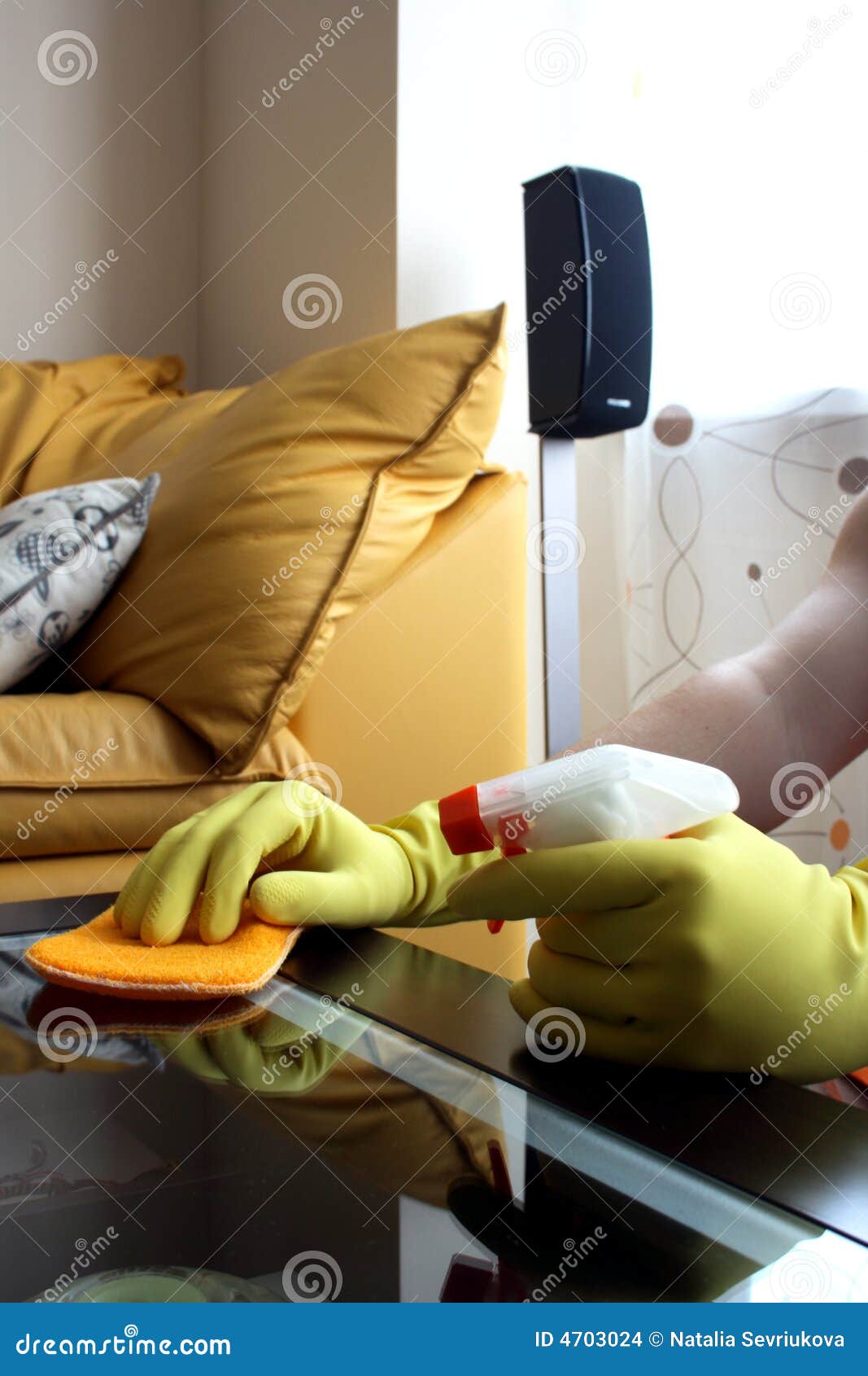 Housekeeping stock photo. Image of open, house, maid, chemical - 4703024