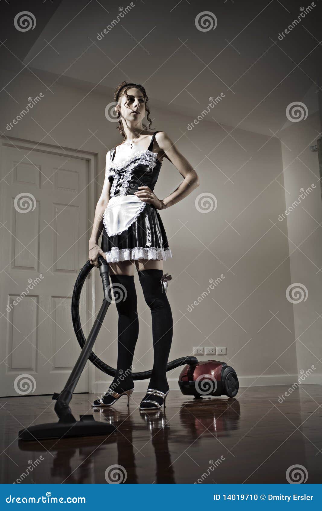 Housemaid stock photo. Image of posing, service, clean - 14019710