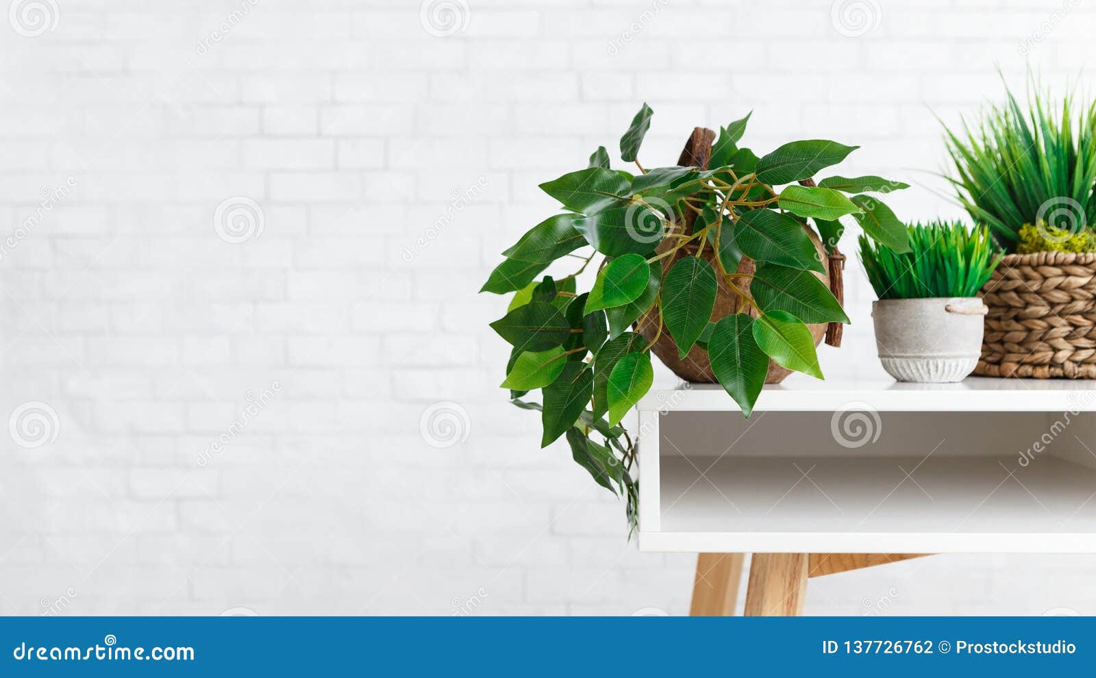 Houseplants in Different Pots on Table Over White Wall Stock Photo ...