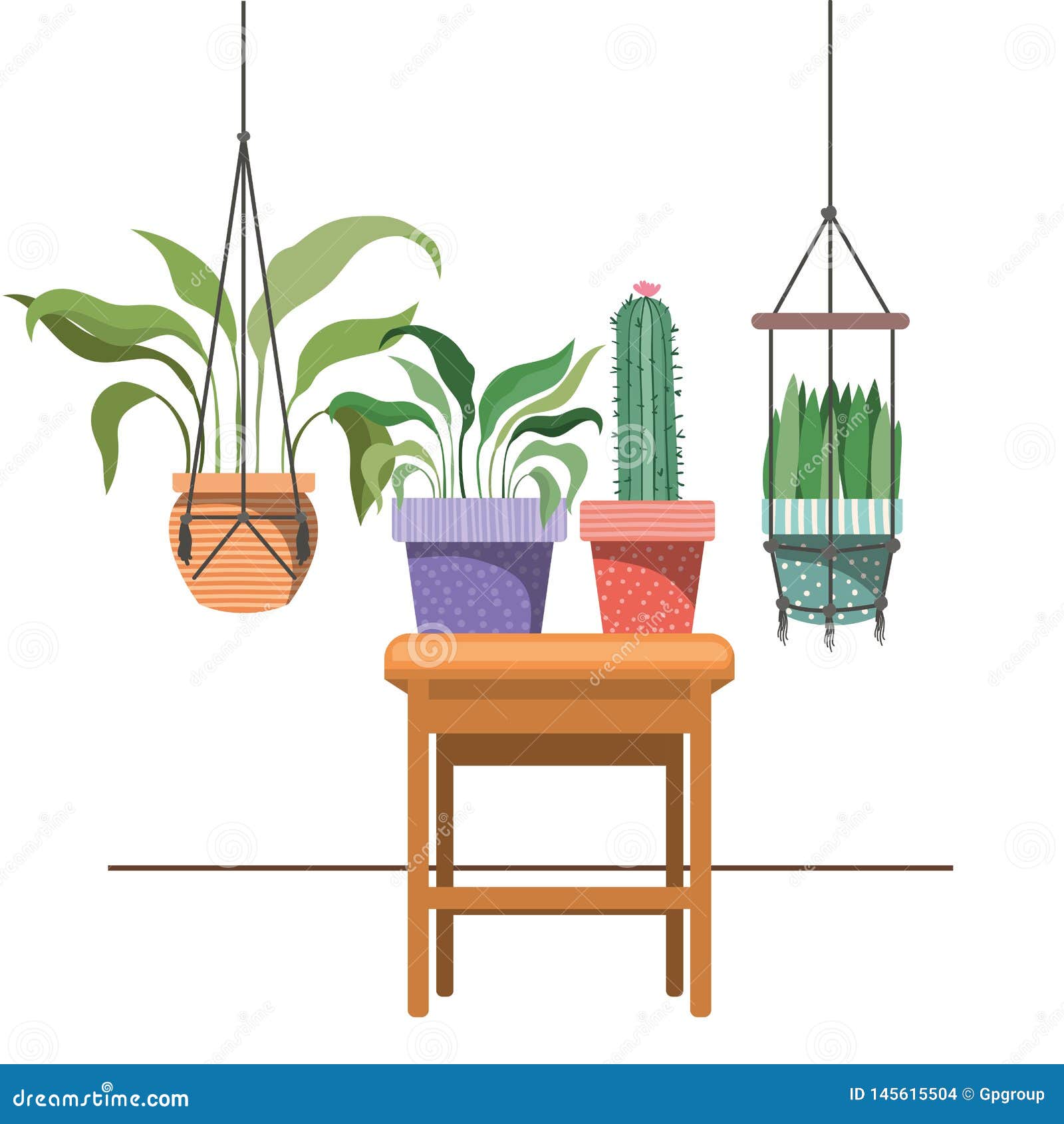 Houseplants on Macrame Hangers and Table Stock Vector - Illustration of ...