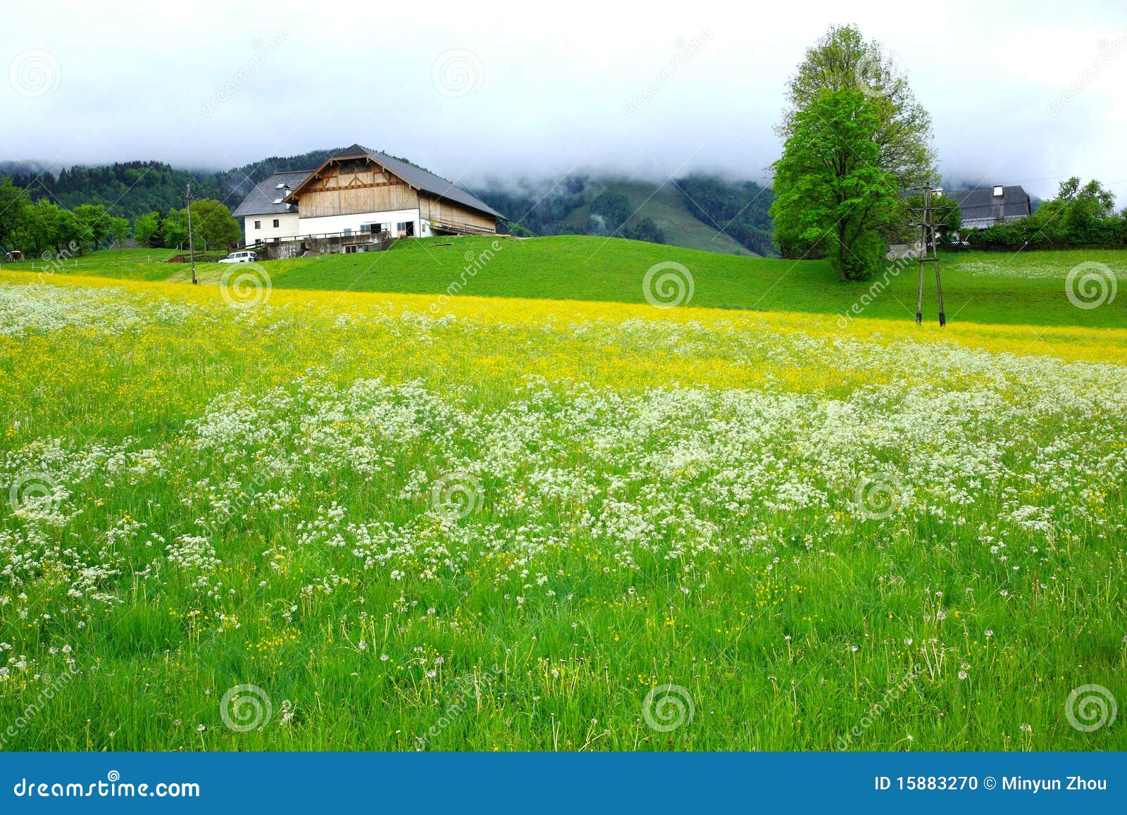 Houses stock photo. Image of idyll, architecture, environment - 15883270