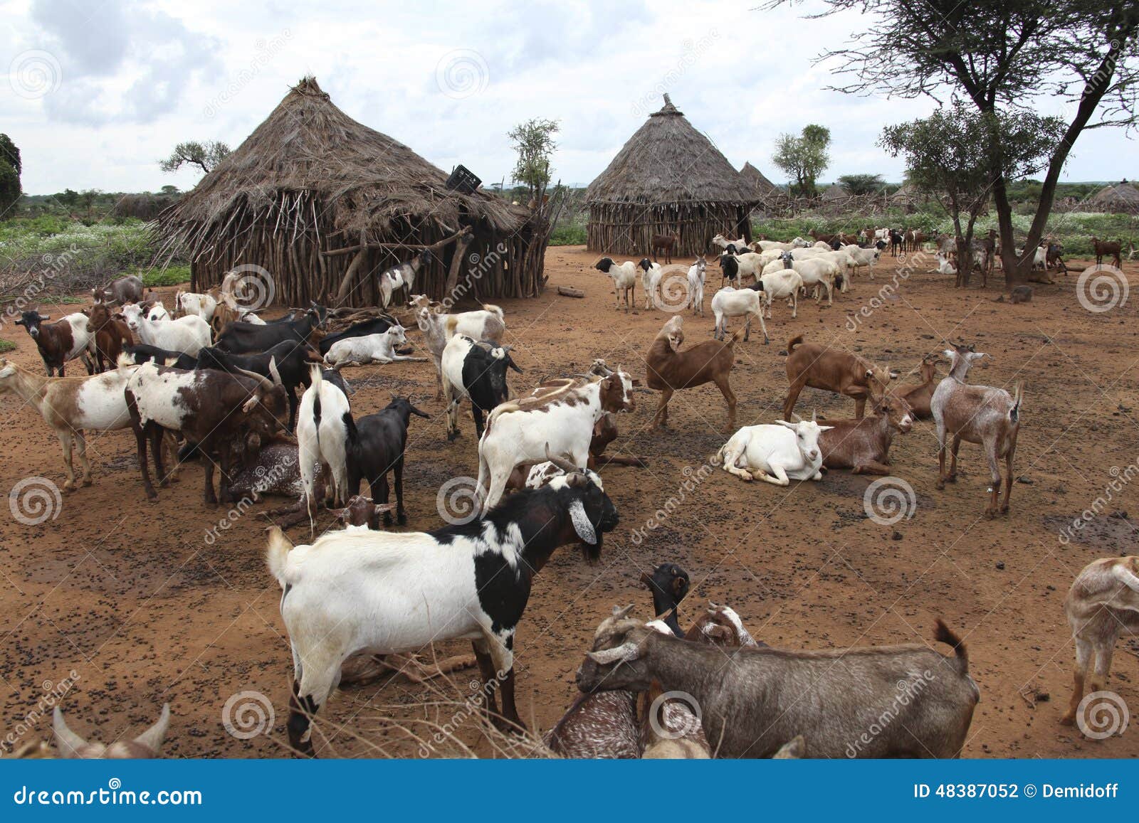 Houses Hamer stock photo. Image of africa, freeze, horn - 48387052
