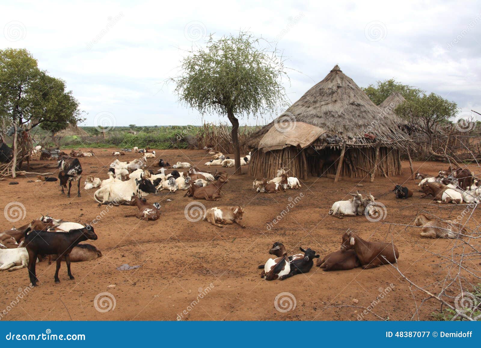 Houses Hamer stock image. Image of mother, black, ethiopia - 48387077