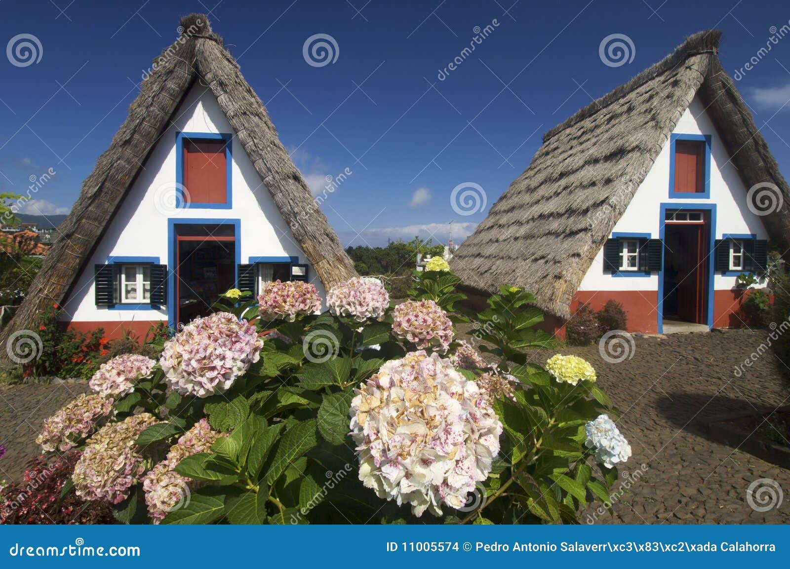 Houses in Madeira island stock photo. Image of blue, flora - 11005574