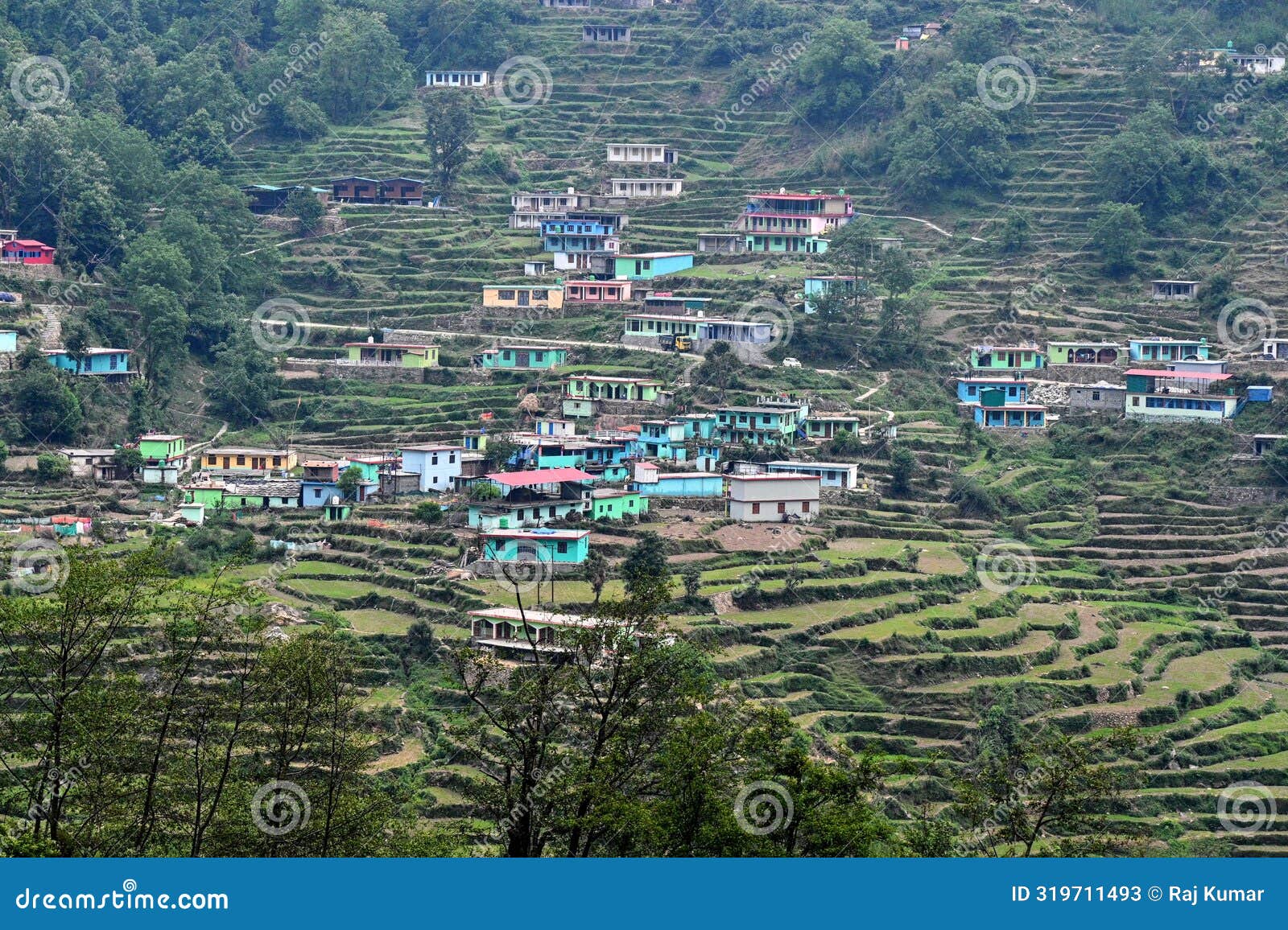 Step Farming In The Uttaranchal Himalayas India Royalty-Free Stock ...