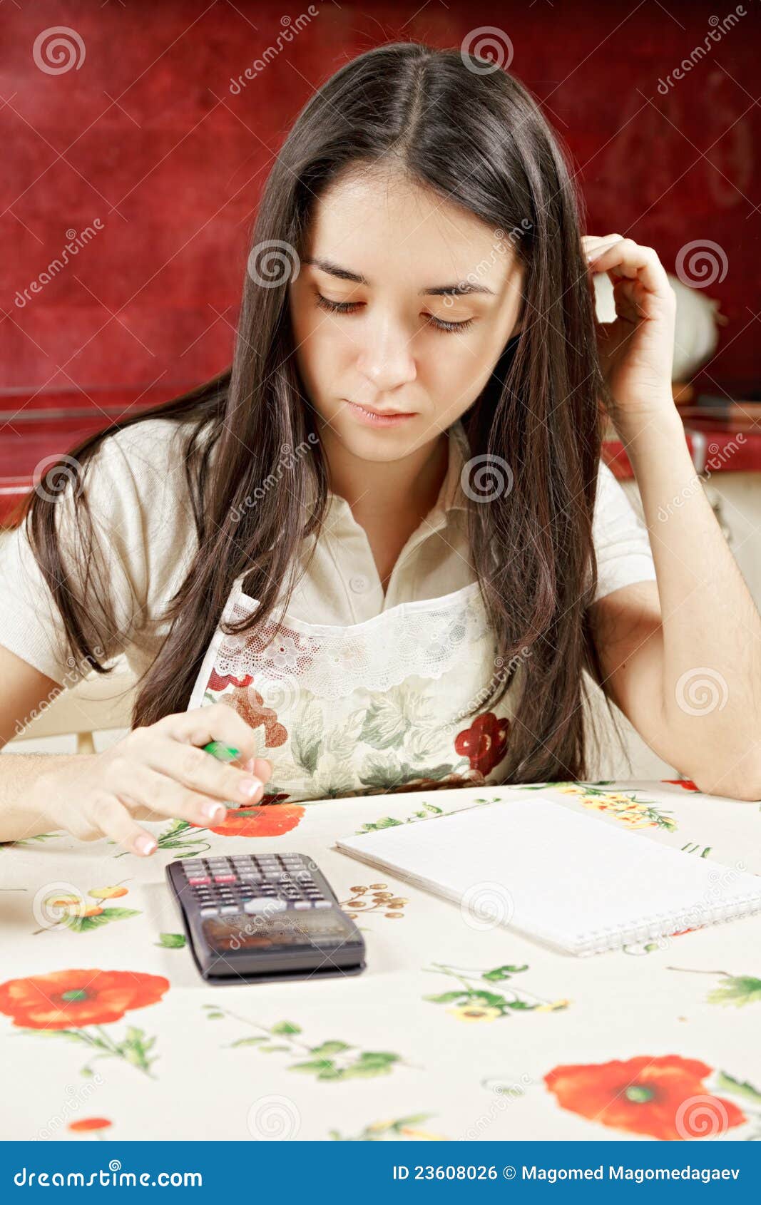 Housewife Making Calculations Stock Photo - Image of budgeting, long ...