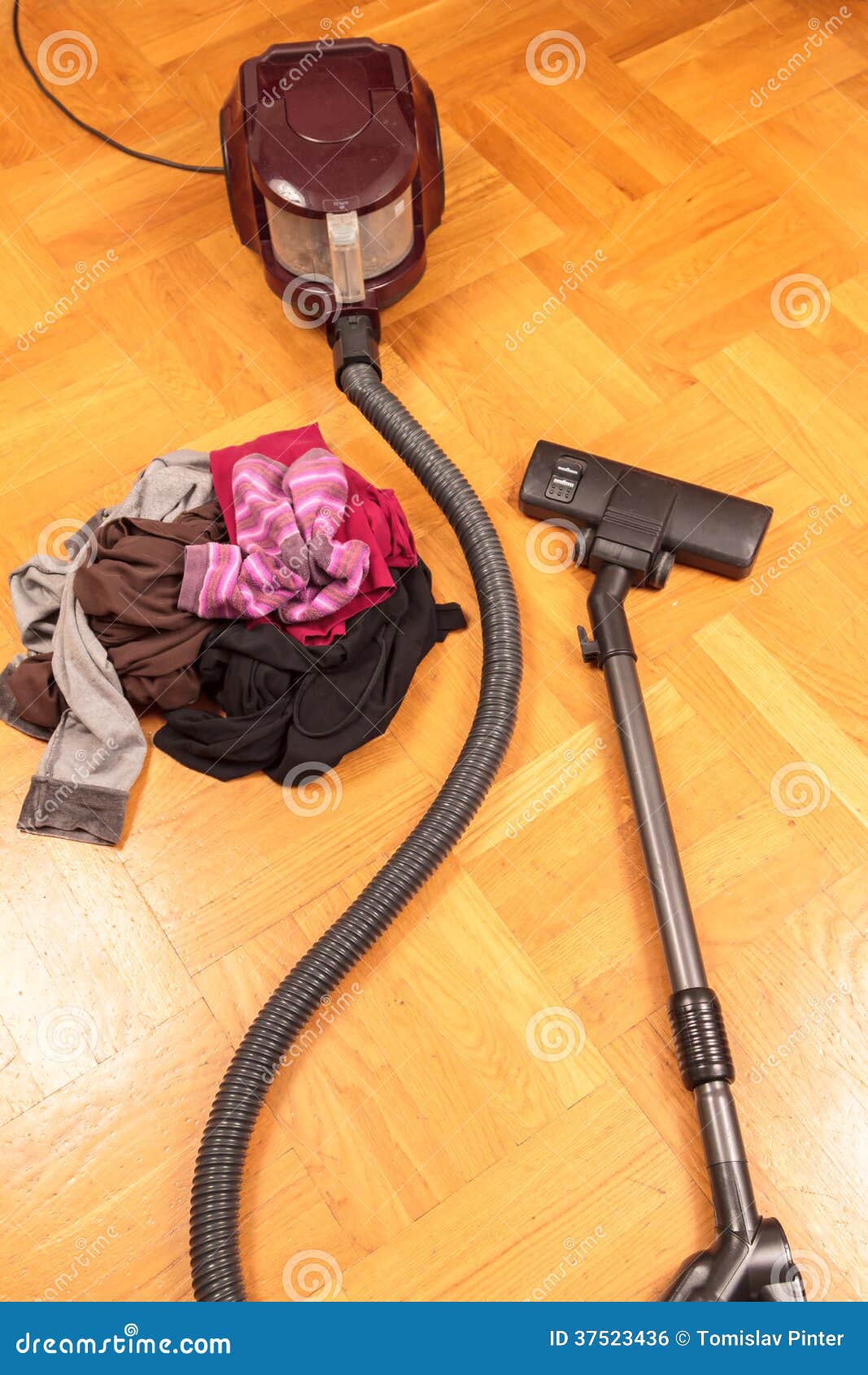 Housework stock photo. Image of dust, routine, laundry - 37523436