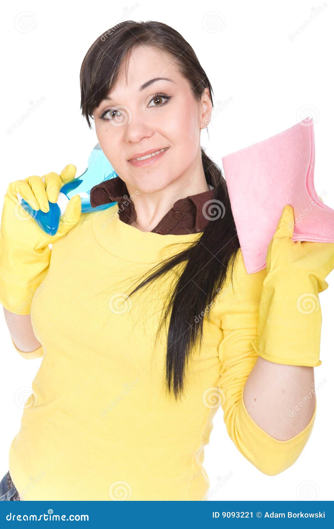 Housework stock image. Image of interior, chores, occupation - 9093221