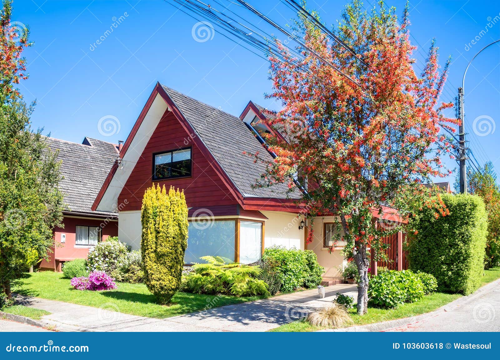 Housing in Chile stock photo. Image of real, chile, residential - 103603618