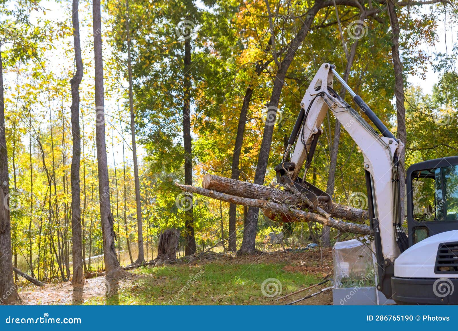 Housing Complex Construction: Trees Cleared by Skid Steer Tractor in ...