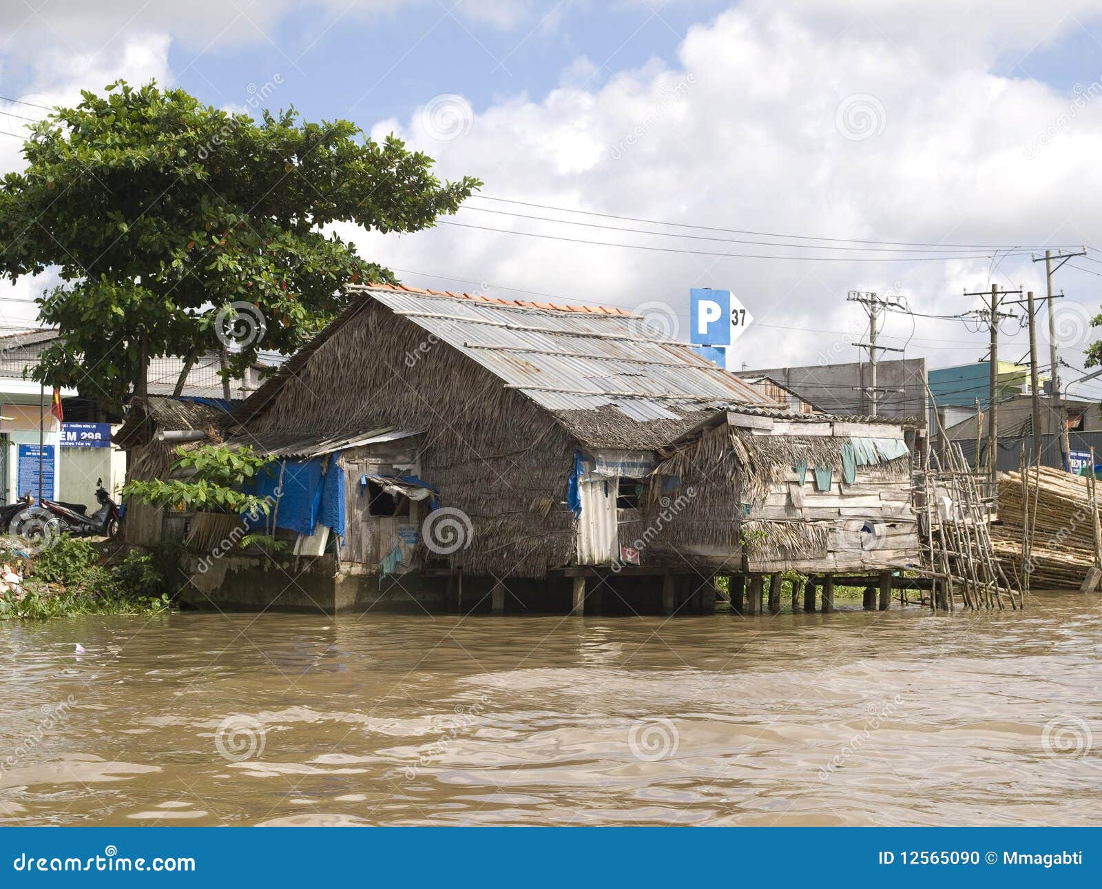 Housing Vietnamese Banks of the River Mekong Stock Photo - Image of ...