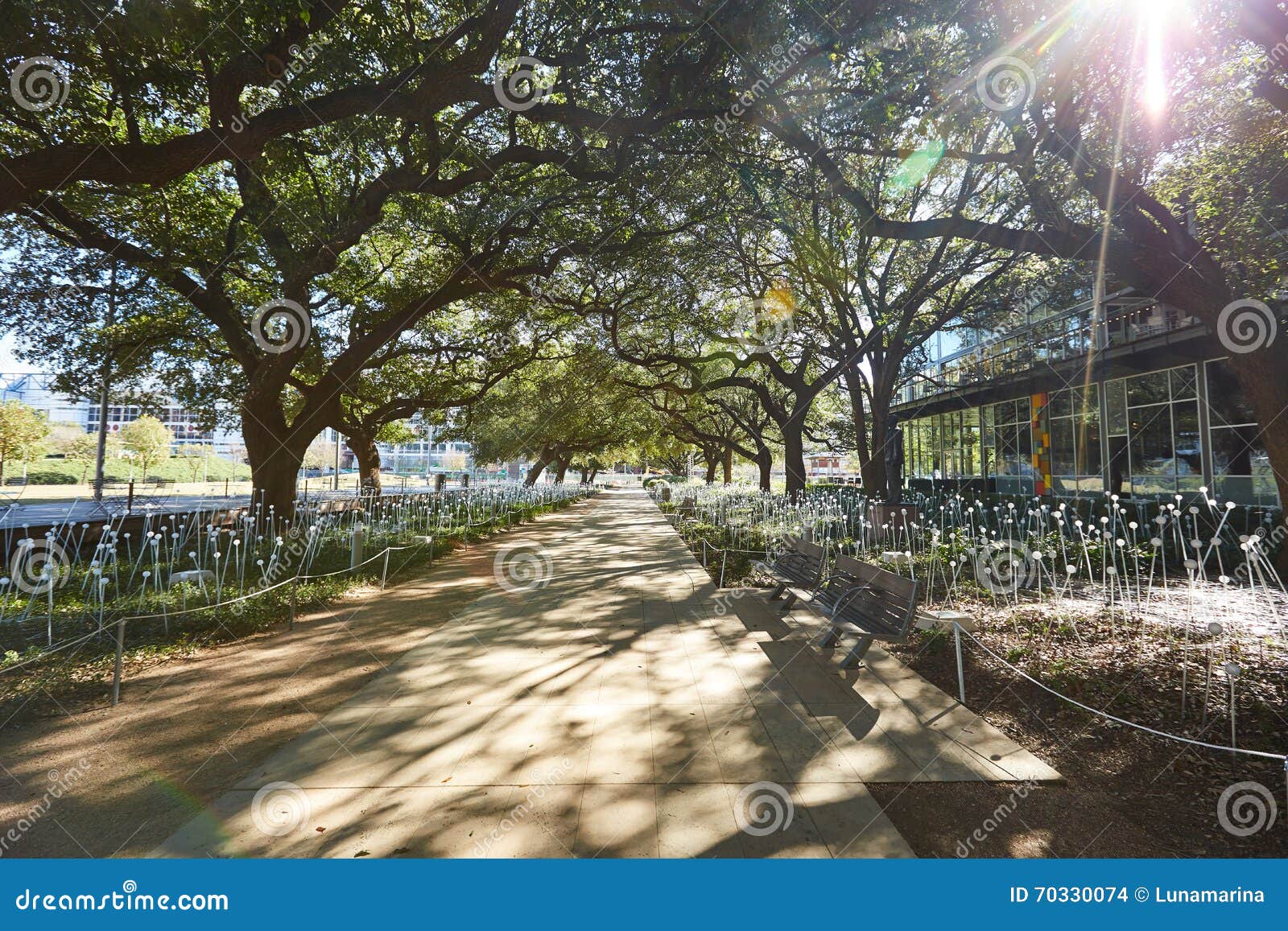 Houston Discovery Green Park in Downtown Stock Photo - Image of county ...