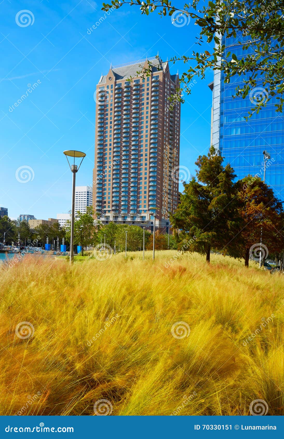 Houston Discovery Green Park in Texas Stock Image - Image of skyscraper ...