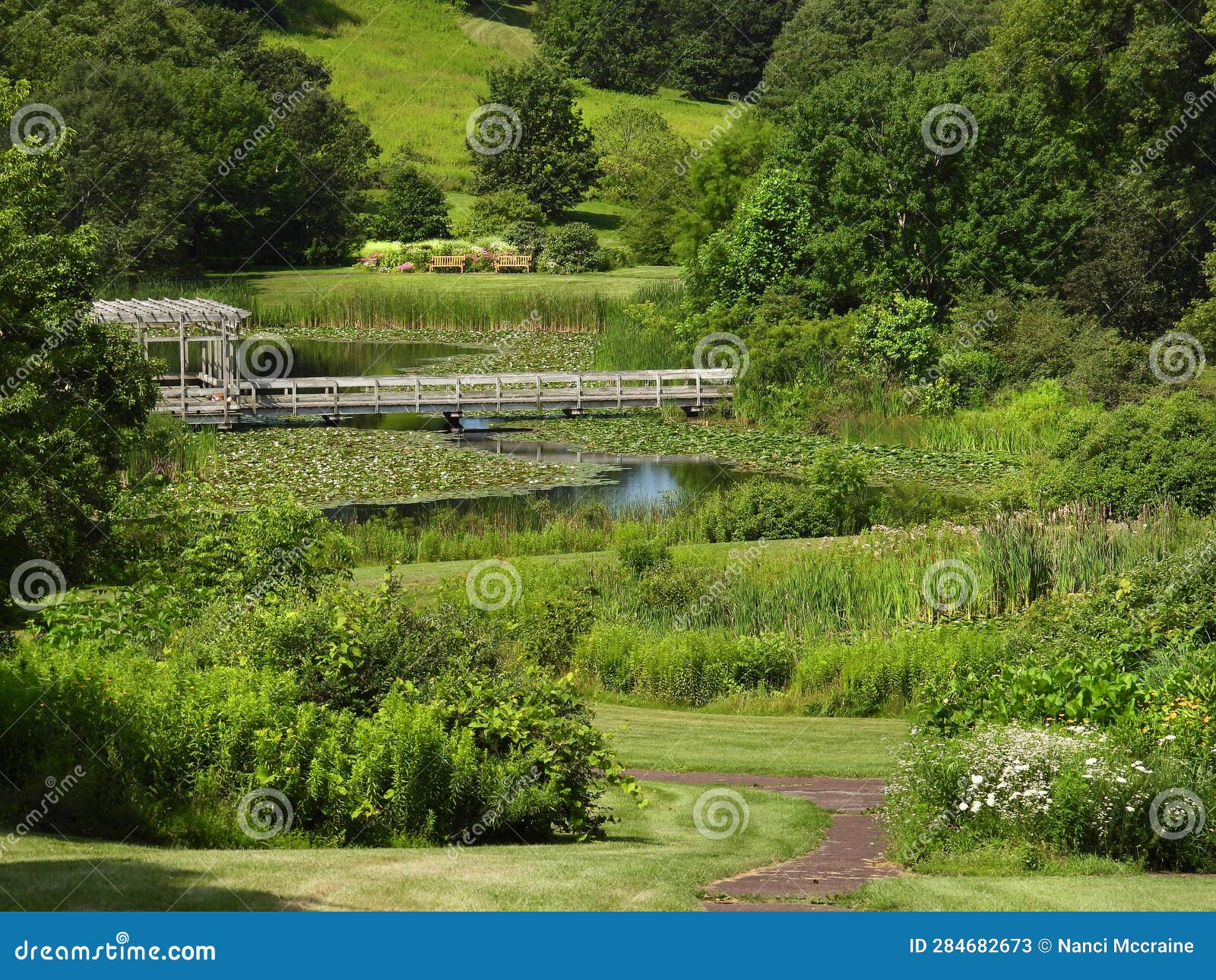 Houston Pond Cornell Botanical Garden Grounds at Cornell University ...