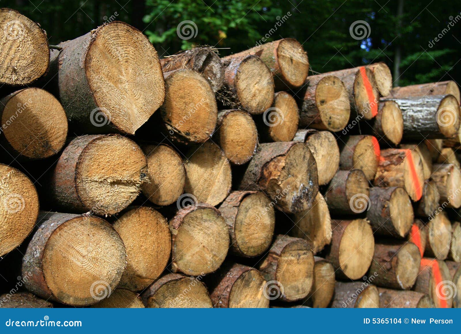 Hout Picture. Image: 5365104