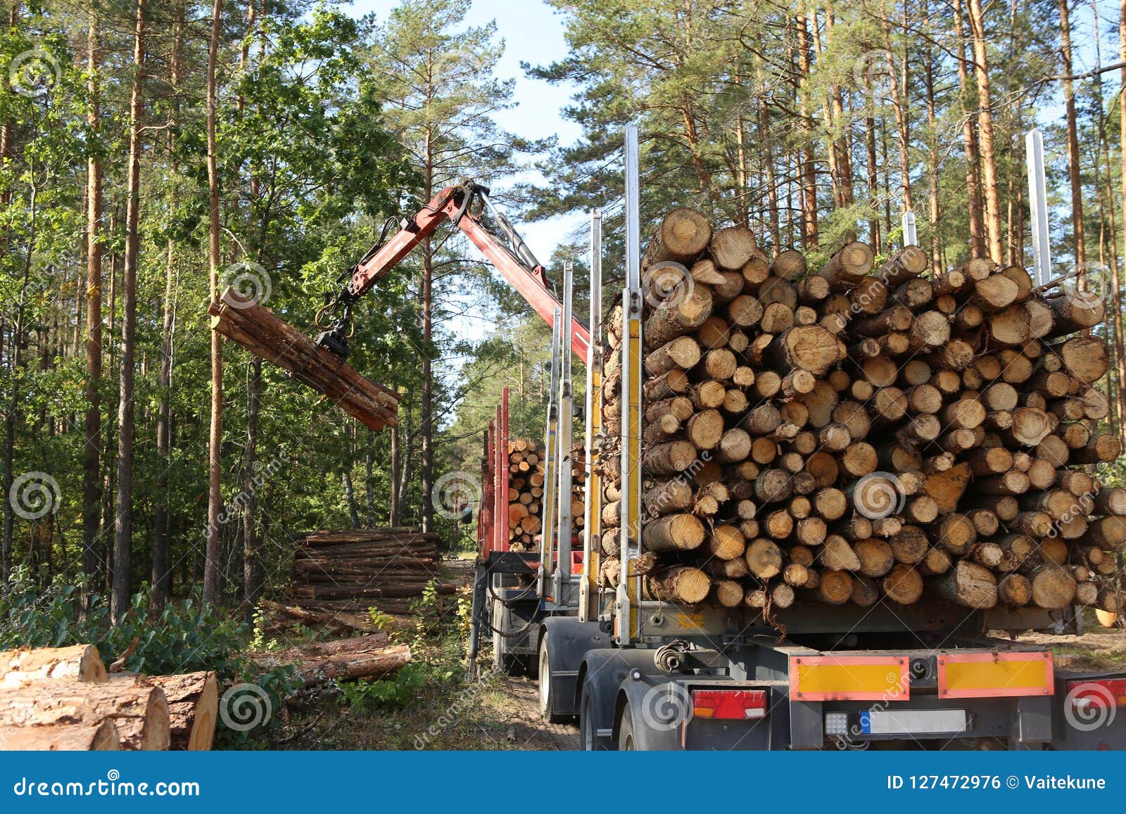 Hout Het Oogsten En Vervoer in Bos Stock Foto - Image of materiaal ...
