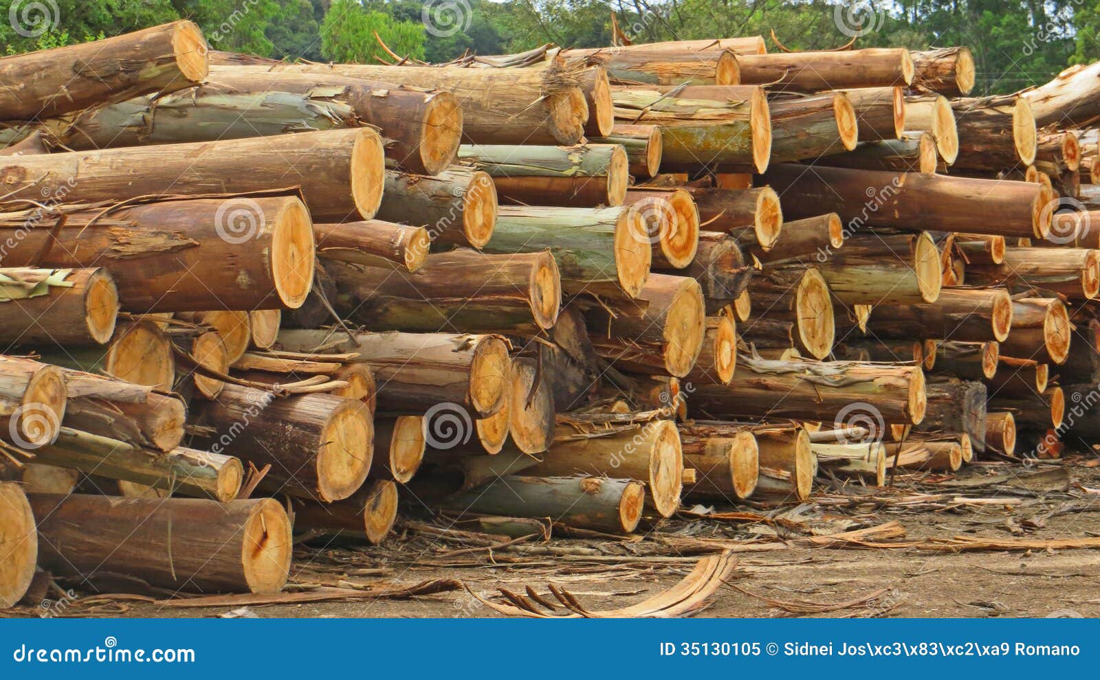 Houten boomstammen stock afbeelding. Image of logboeken - 35130105