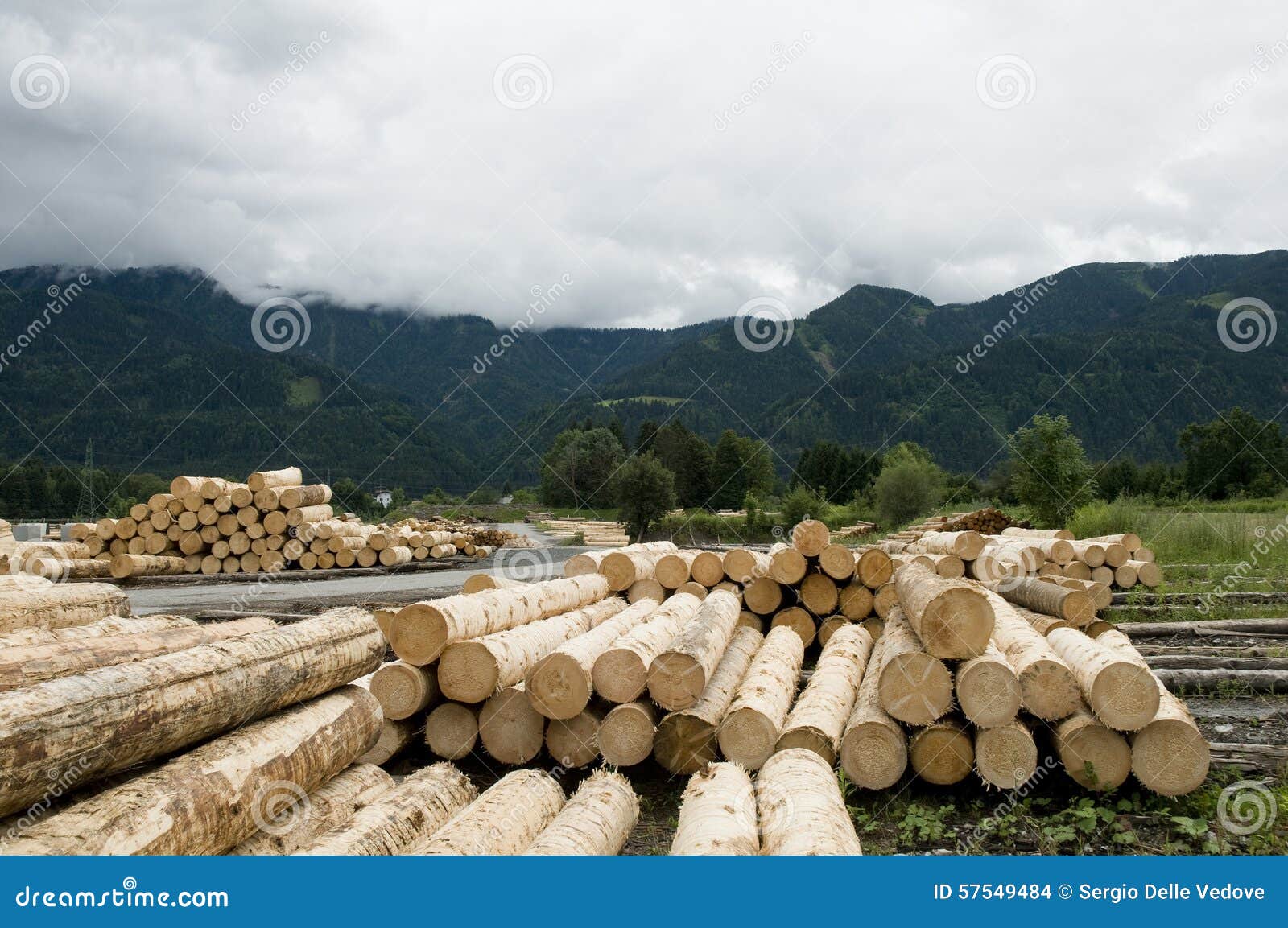 Houten boomstammen stock foto. Image of boom, houten - 57549484