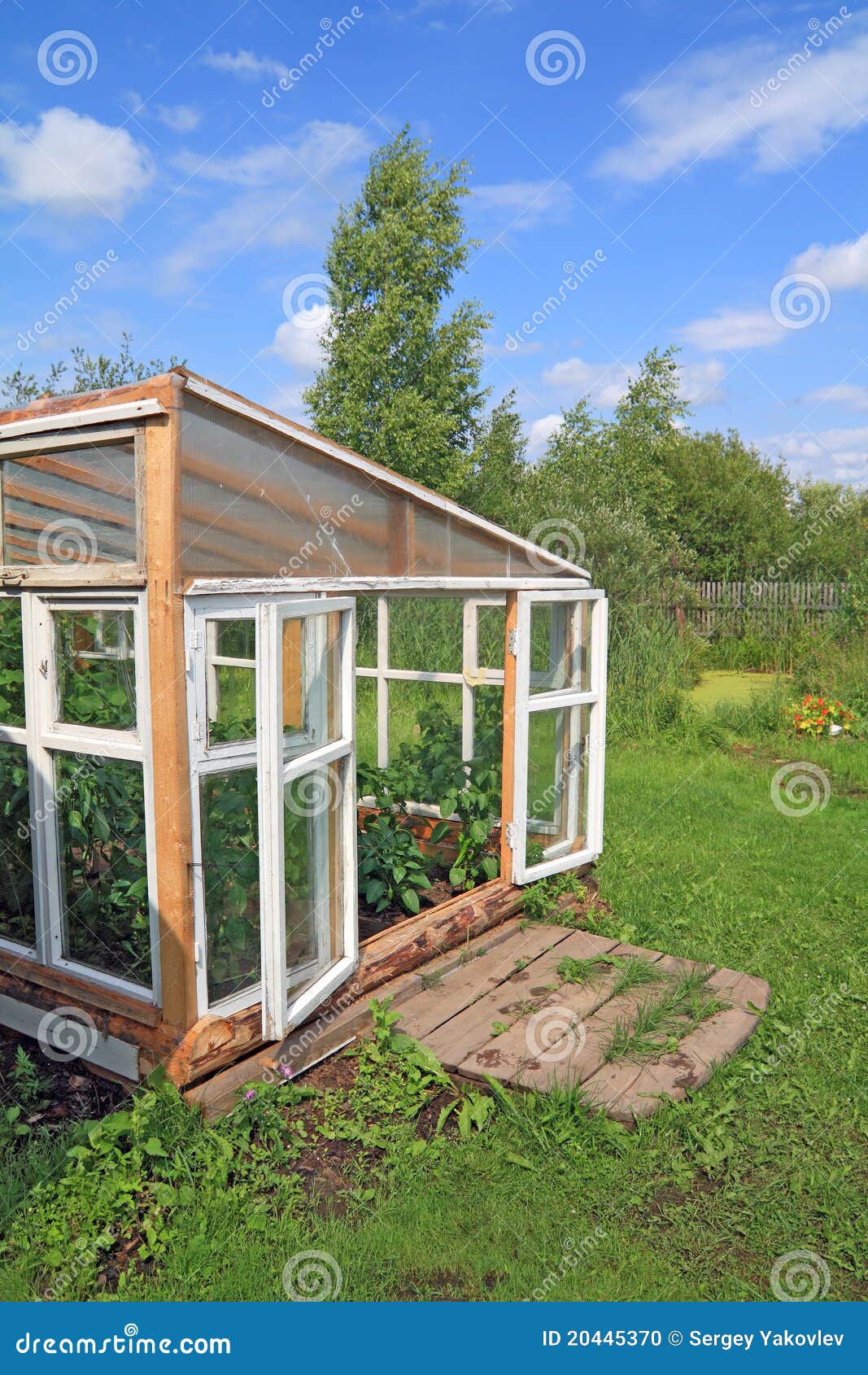 Houten broeikas stock foto. Image of harvesting, clean - 20445370