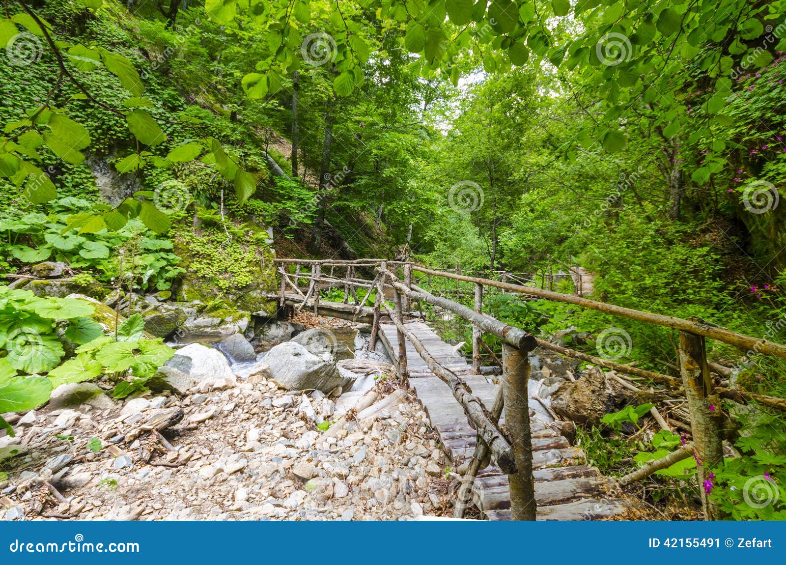 Houten Brug Over Beek in Een Bos Stock Afbeelding - Image of bouw ...