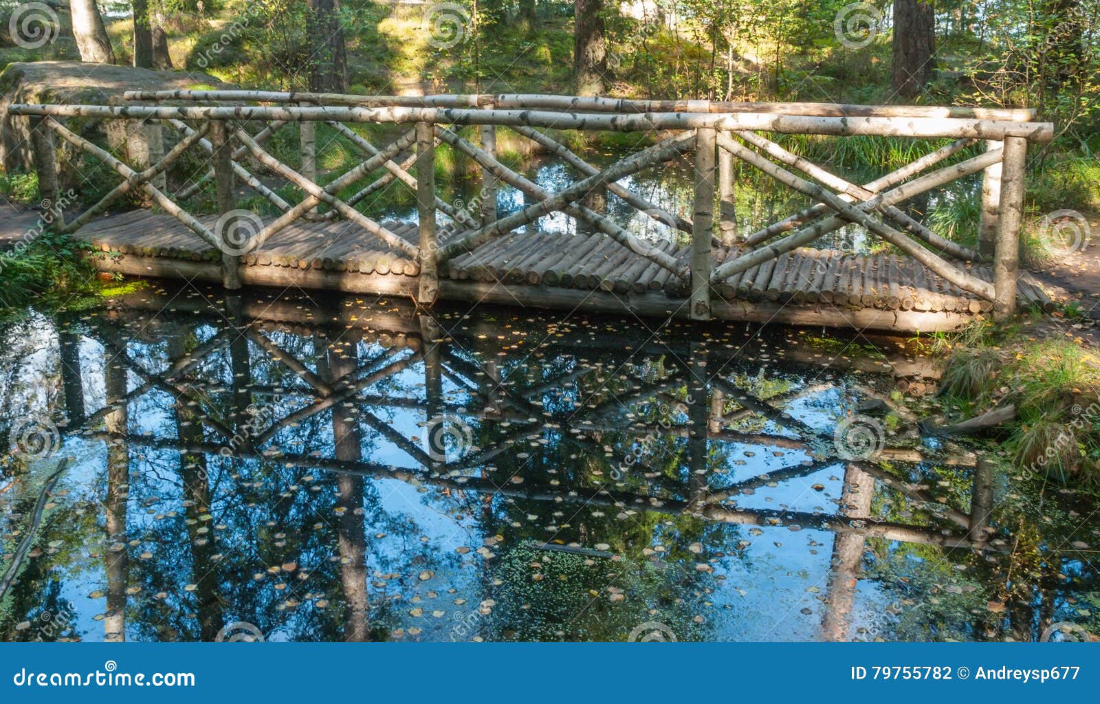 Houten Brug Over Een Stroom in Het Hout Stock Foto - Image of houten ...