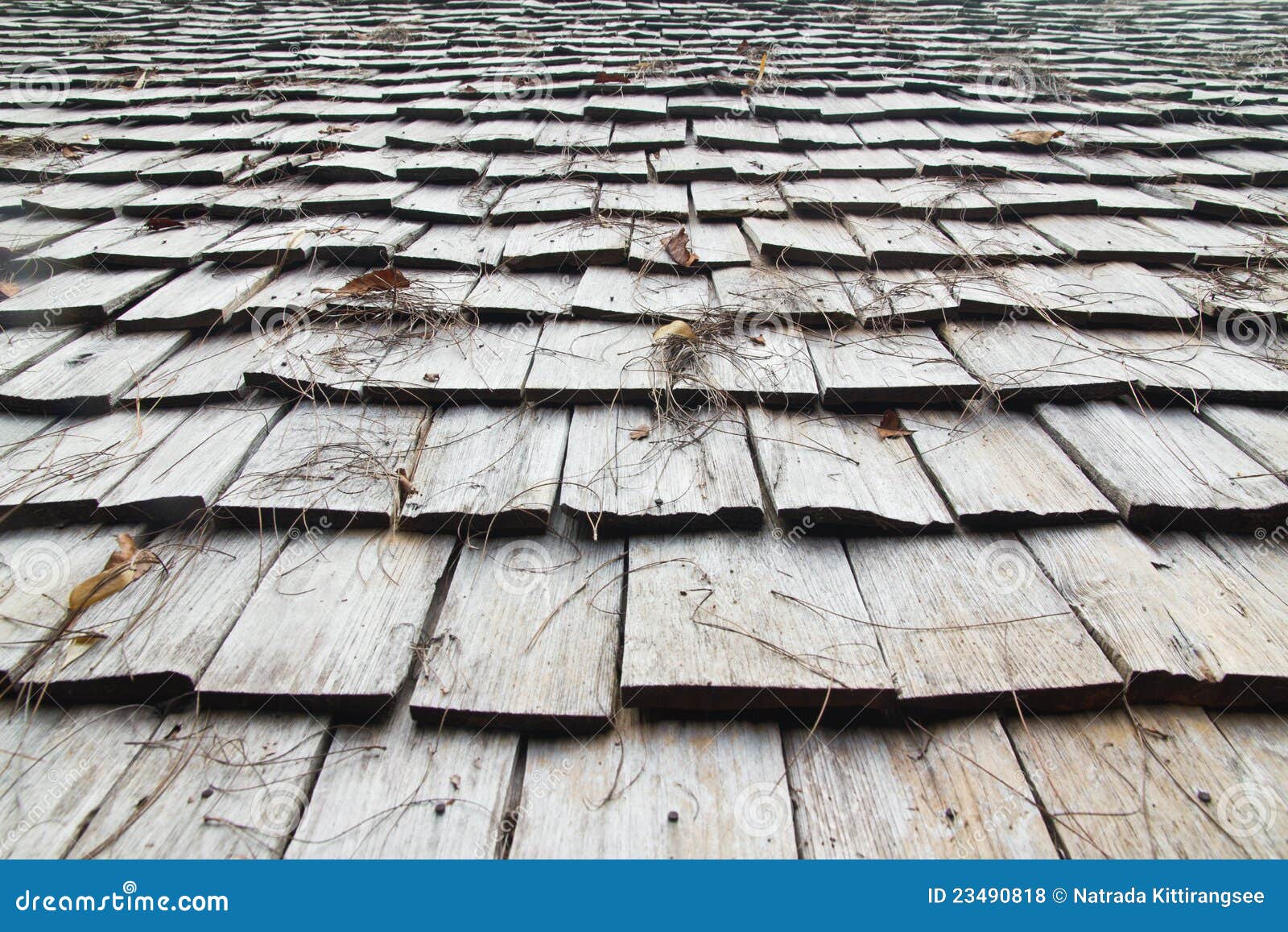 Houten dak. stock foto. Image of ceder, houten, dakwerk - 23490818