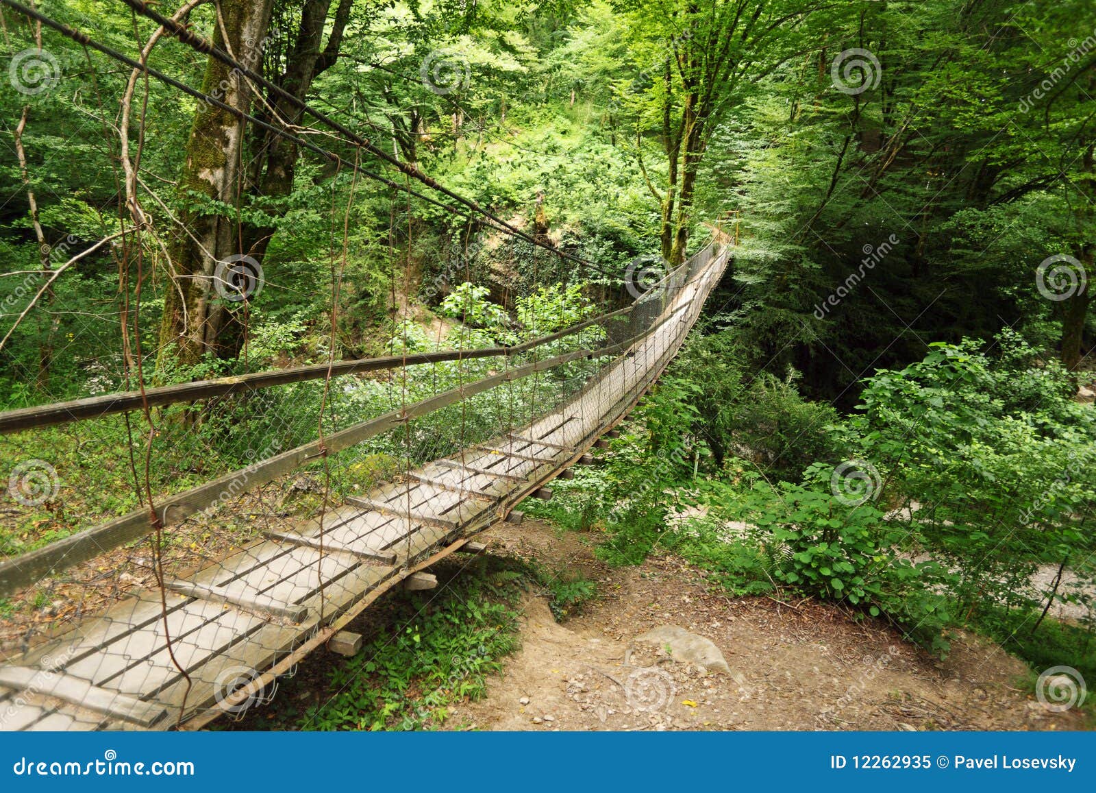 Houten hangbrug in hout stock afbeelding. Image of brug - 12262935