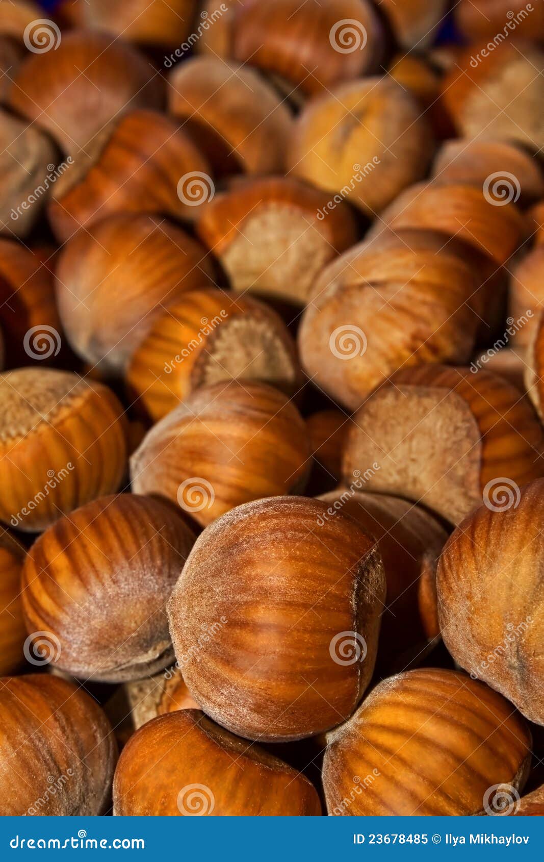 Houten Noten - Een Hazelnoot Stock Afbeelding - Image of romig, deeg ...