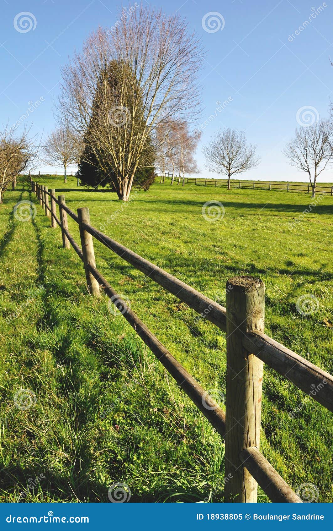 Houten Omheining in Een Tuin Stock Afbeelding - Image of bomen, gazon ...