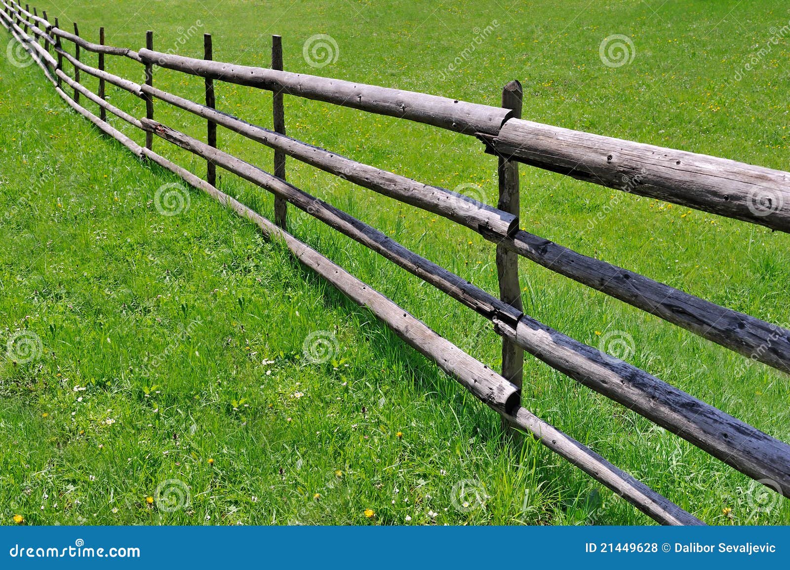 Houten omheining op weide stock foto. Image of groen - 21449628