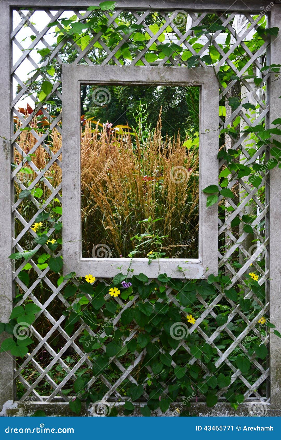 Houten omheining in tuin stock afbeelding. Image of poort - 43465771