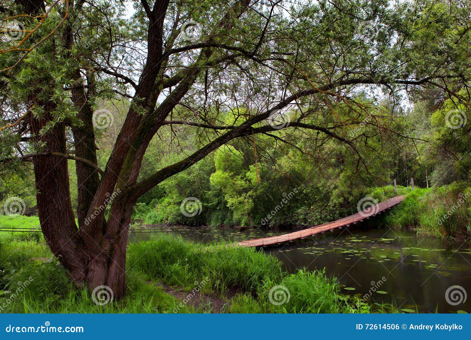 Houten Oude Slingerende Brug Stock Foto - Image of route, toevlucht ...