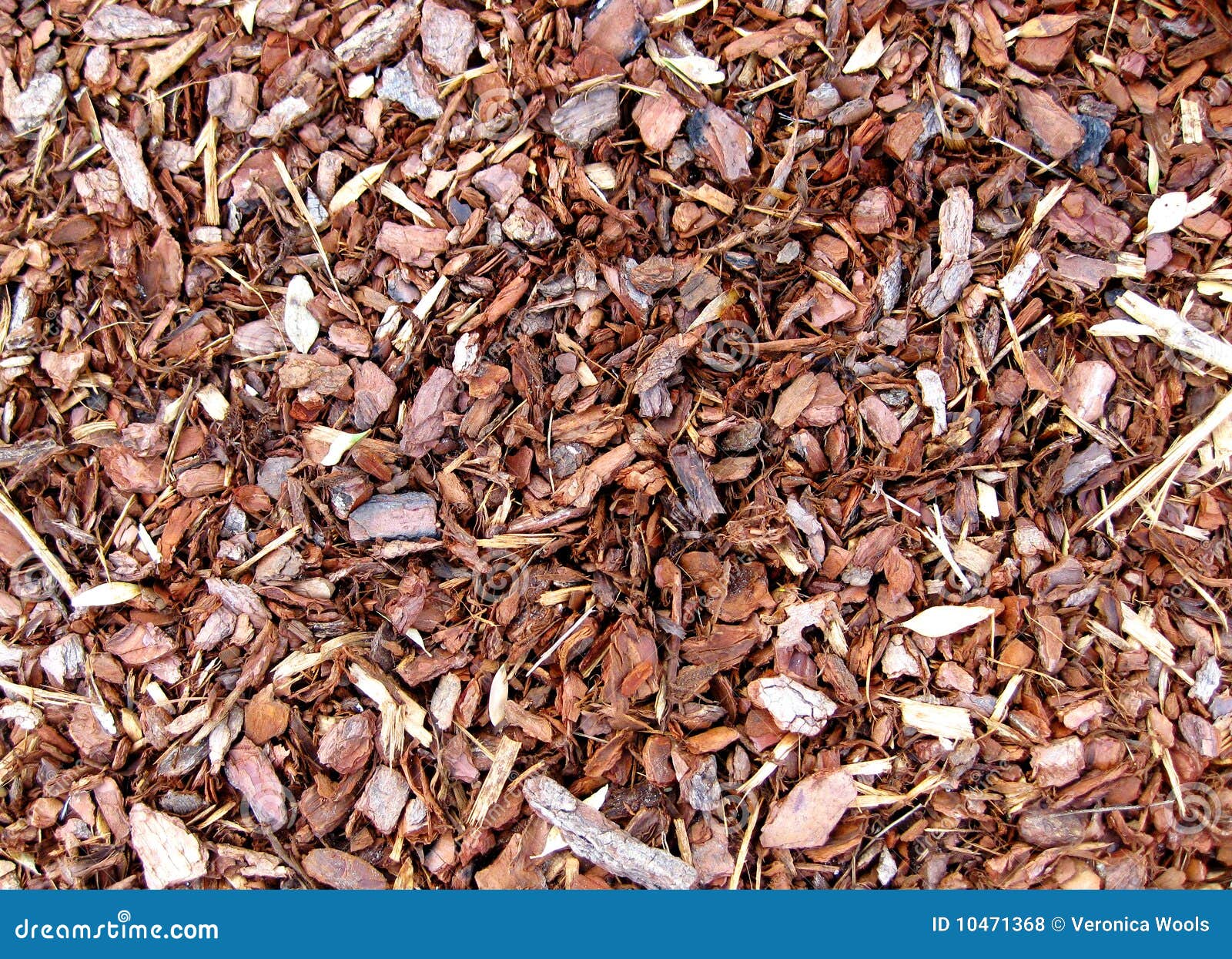 Houten Spaander stock foto. Image of schors, aanplant - 10471368