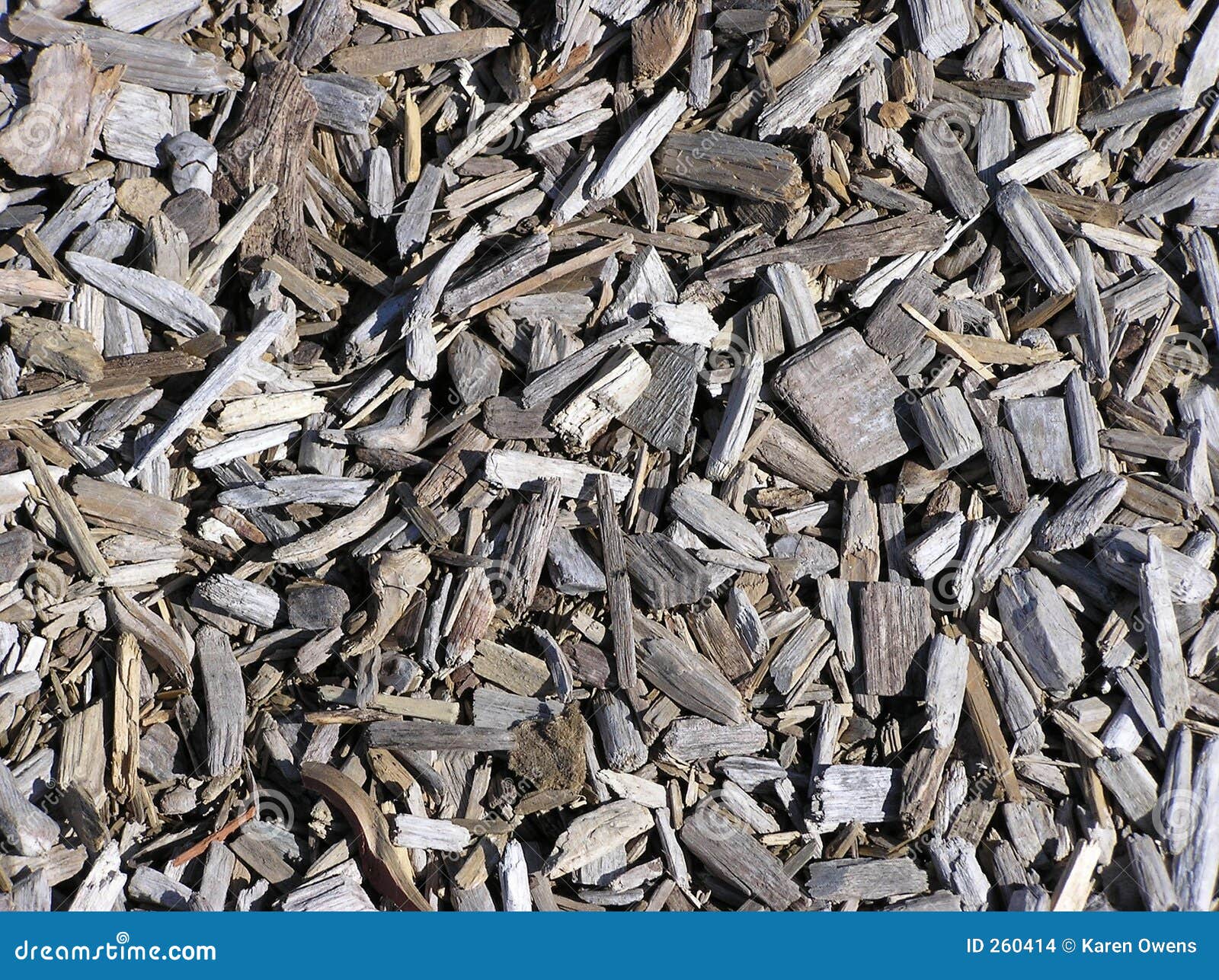 Houten Spaanders stock foto. Image of textuur, achtergrond - 260414