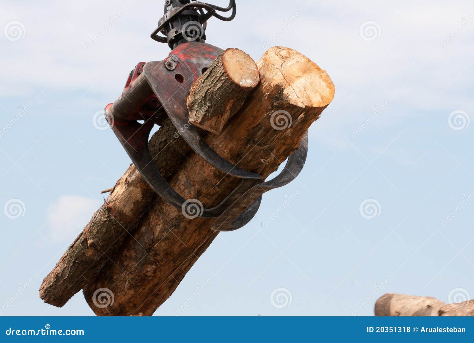 Houten Stompen Op Een Kraan Stock Foto - Image of vegetatie, zagen ...