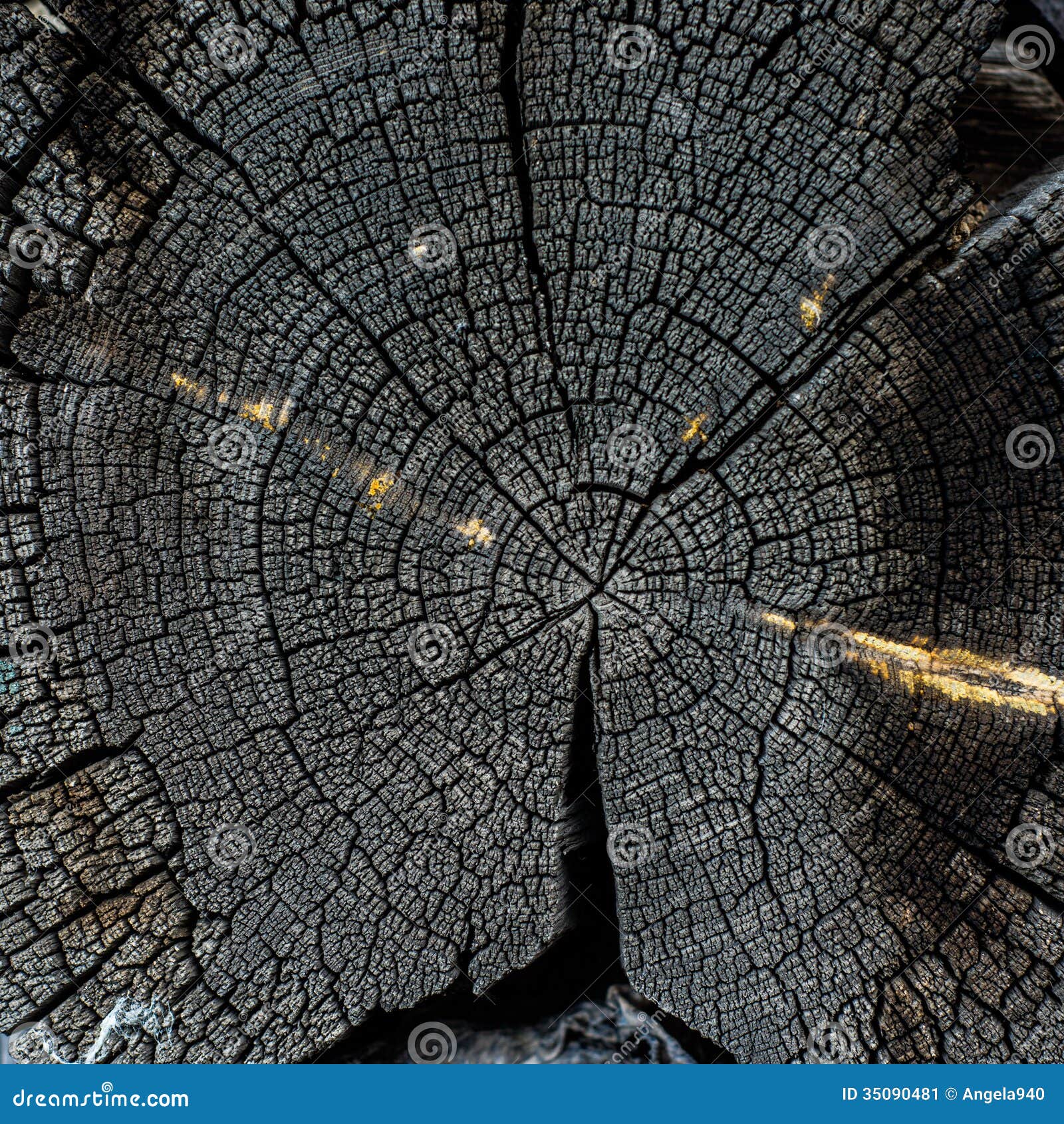 Houten structuur stock afbeelding. Image of ronde, vergankelijk - 35090481