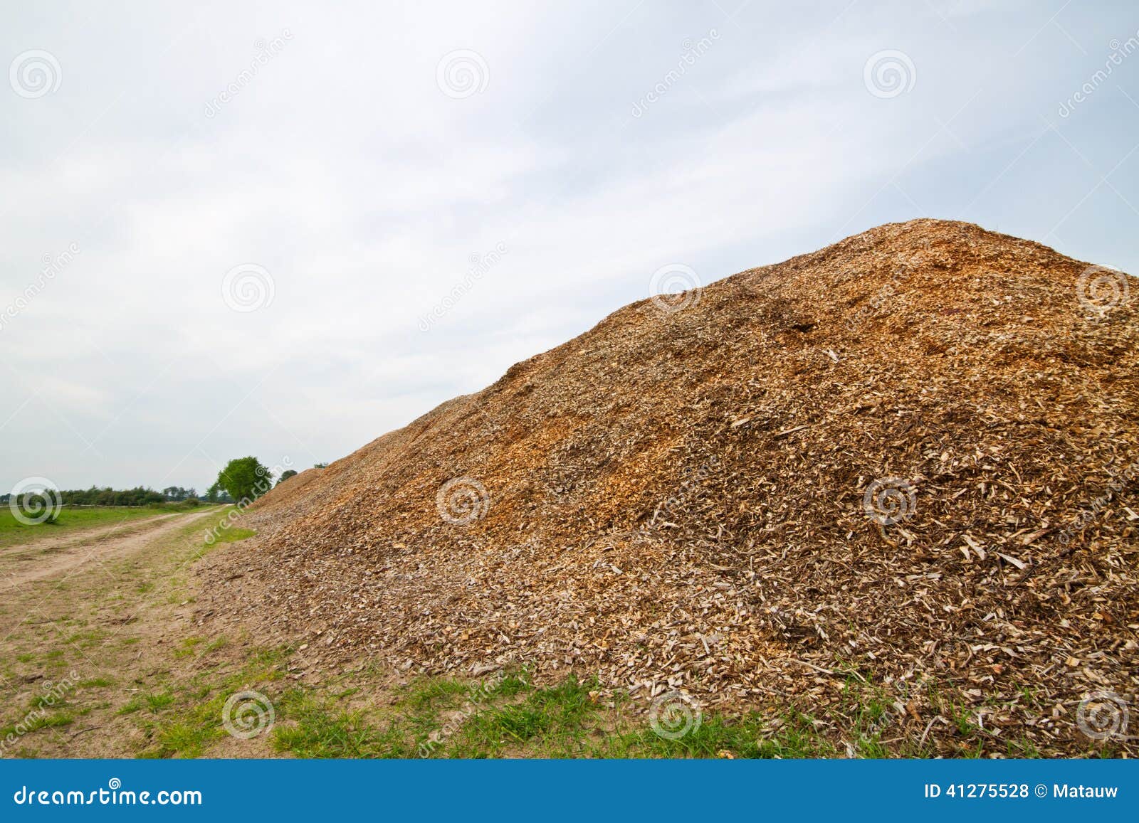 Houtspaanders stock foto. Image of bosbouw, groot, spaander - 41275528