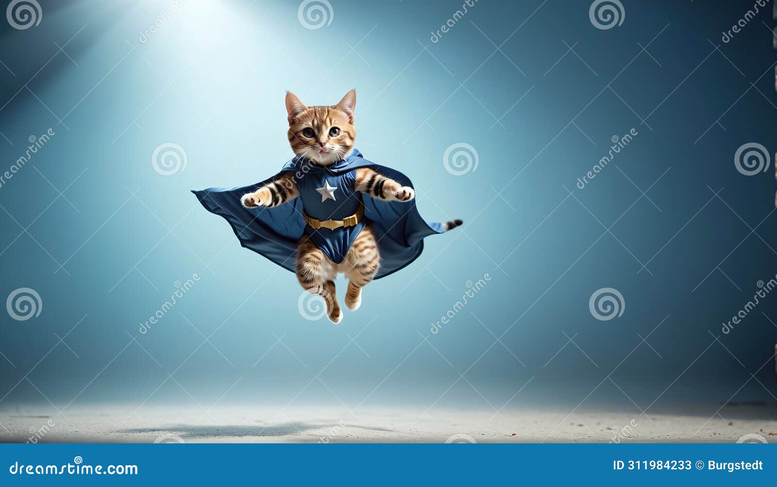 Hovering and Flying Cute Kitten with Special Superpowers in Superhero ...