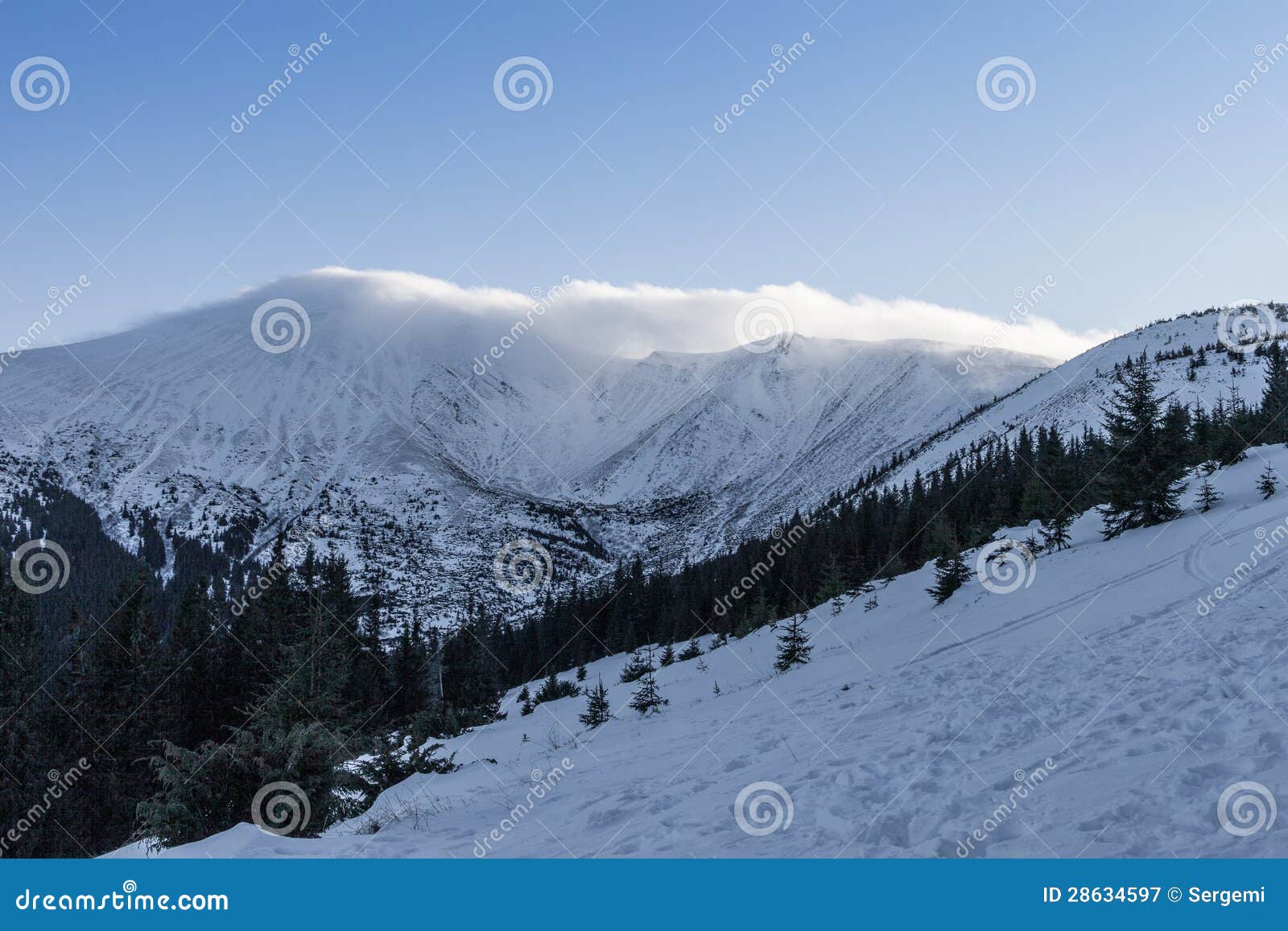 Hoverla stock image. Image of snow, coniferous, landscape - 28634597