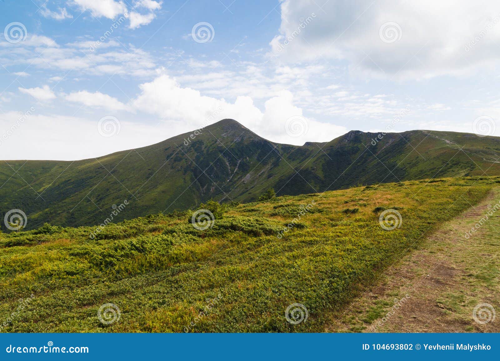 Hoverla Berg stockfoto. Bild von schön, szene, ukraine - 104693802