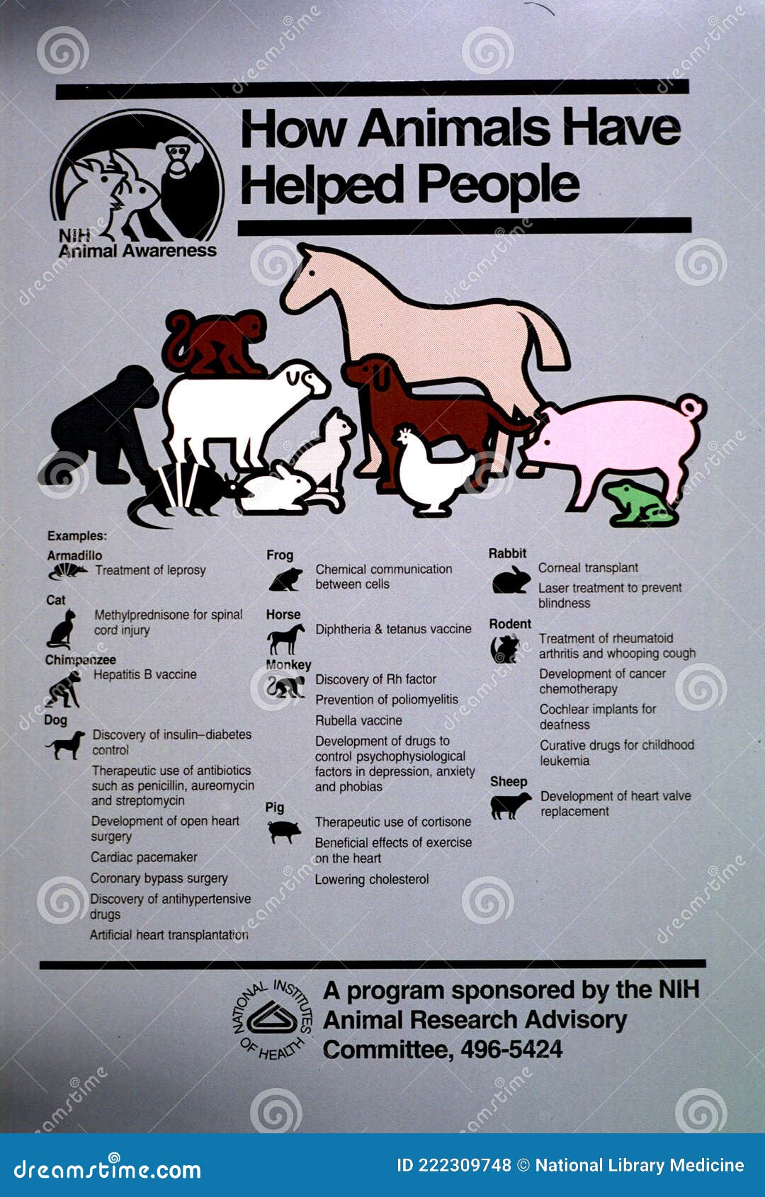 How Animals Have Helped People Picture. Image: 222309748