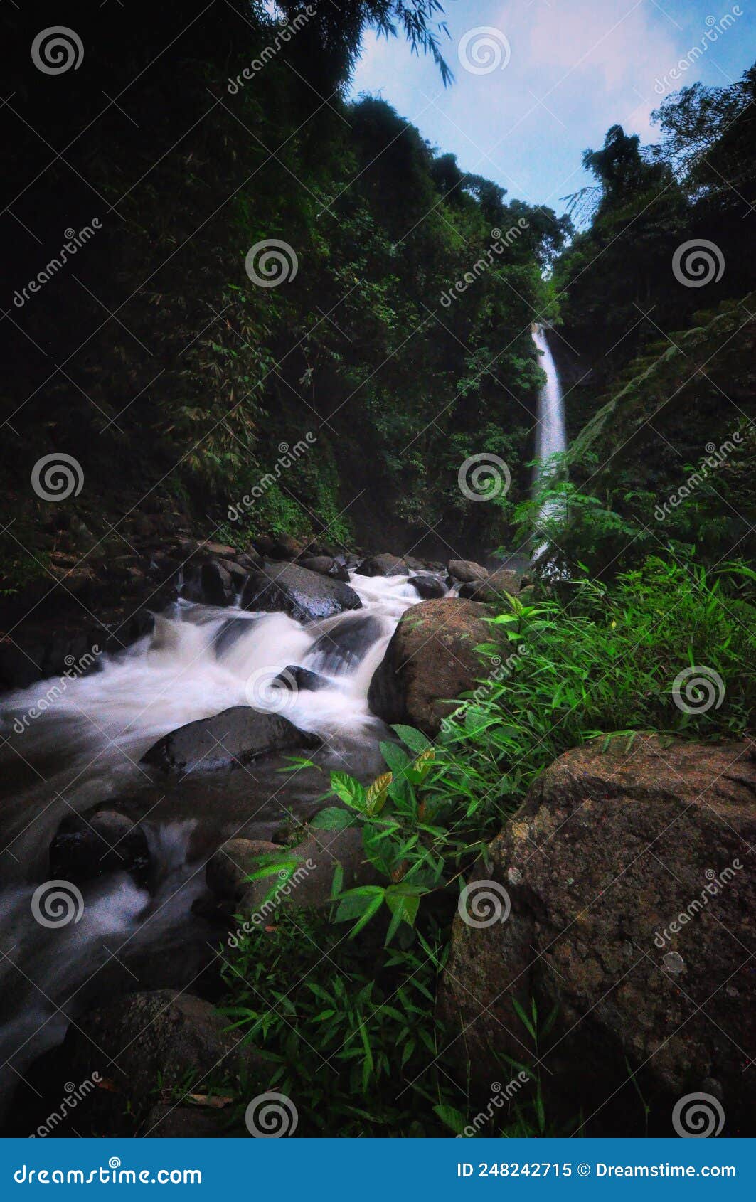 Coban jahe stock image. Image of coban, malang, destination - 248242715
