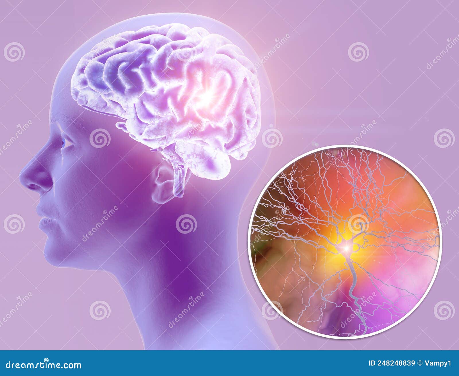 Synapse Connections. Structure That Permits A Neuron Or Nerve Cell To ... Synapse Connections. Structure That Permits A Neuron Or Nerve Cell To ...