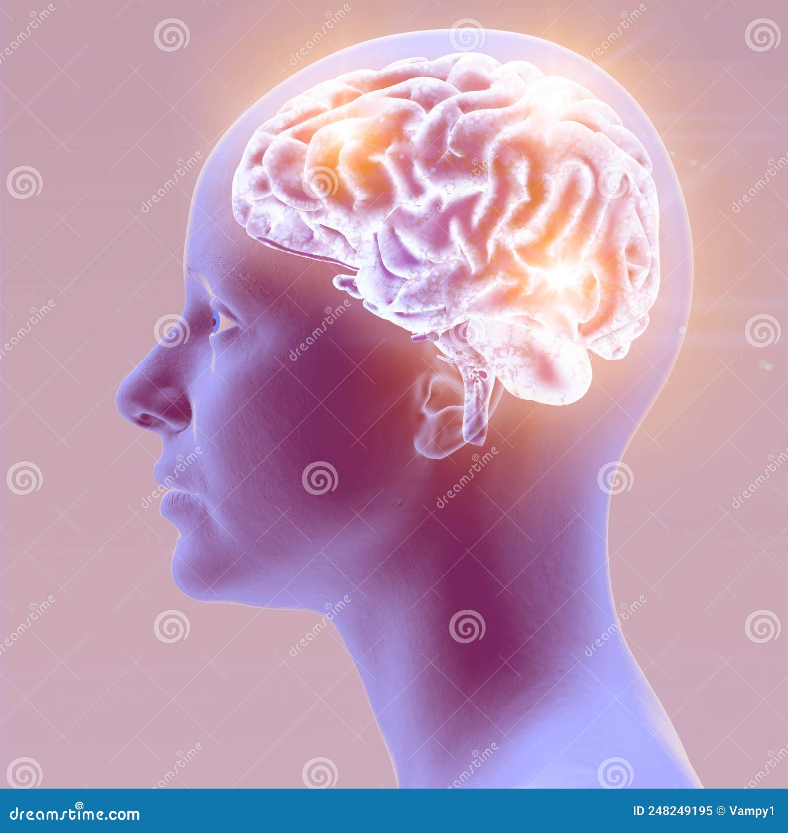 Synapse Connections. Structure That Permits A Neuron Or Nerve Cell To ... Synapse Connections. Structure That Permits A Neuron Or Nerve Cell To ...