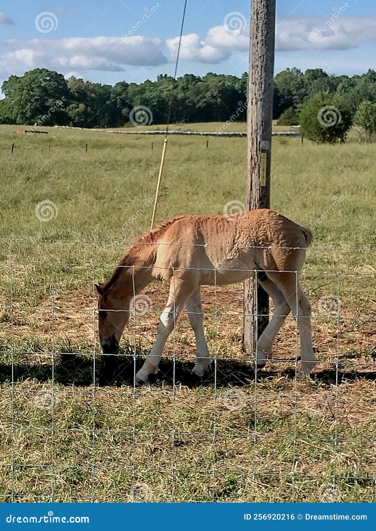 How cute is this picture stock photo. Image of wall - 256920216