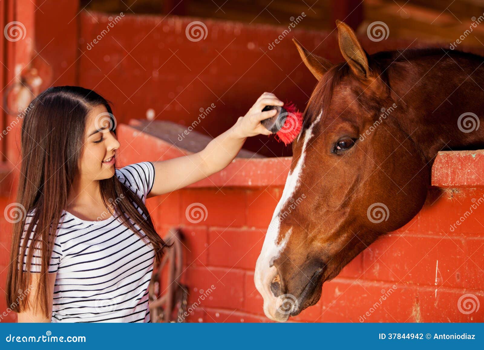 How Does Feel Buddy Stock Photos - Free & Royalty-Free Stock Photos ...